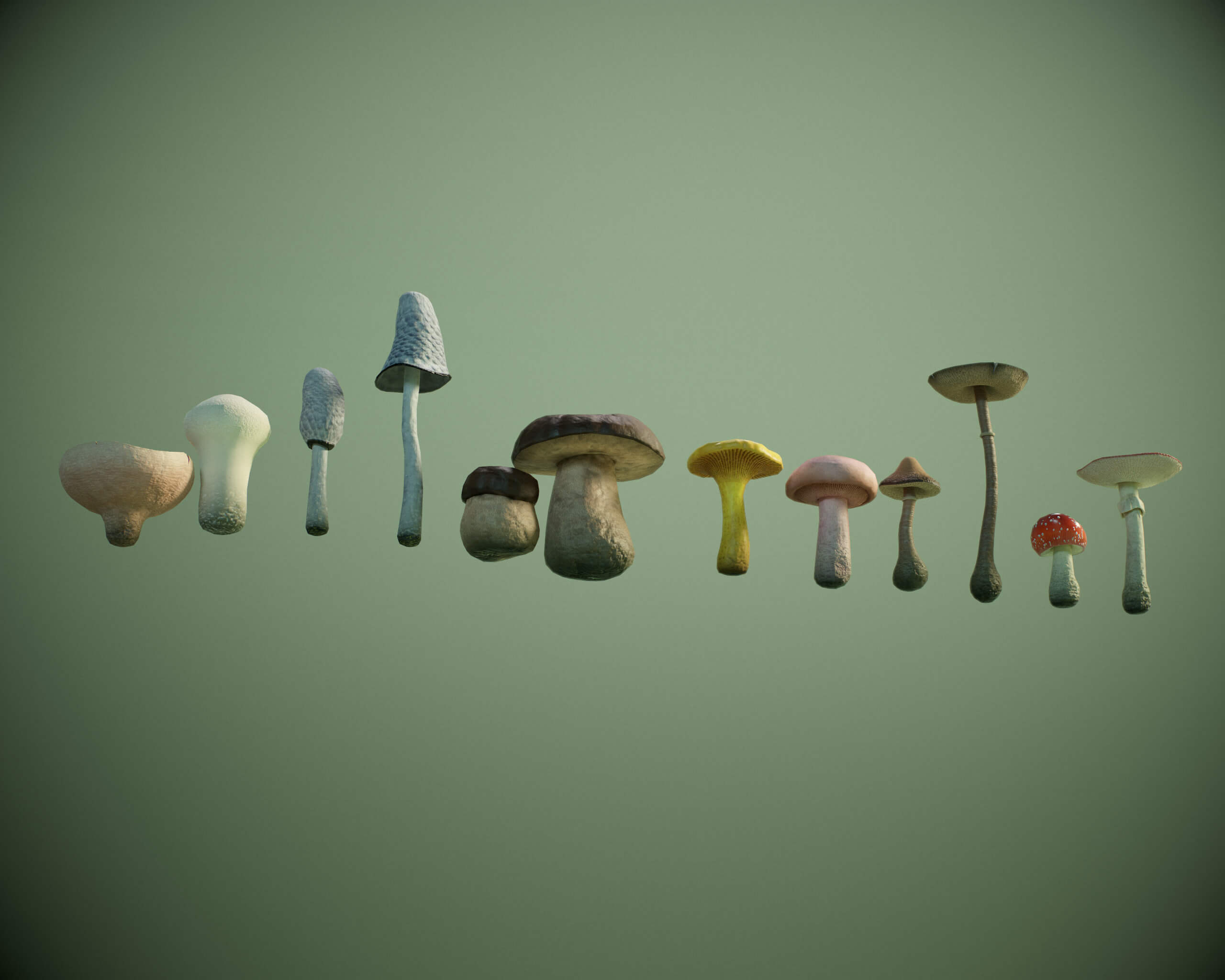 Mushroom Pack - 3D Model by YuriBarinov