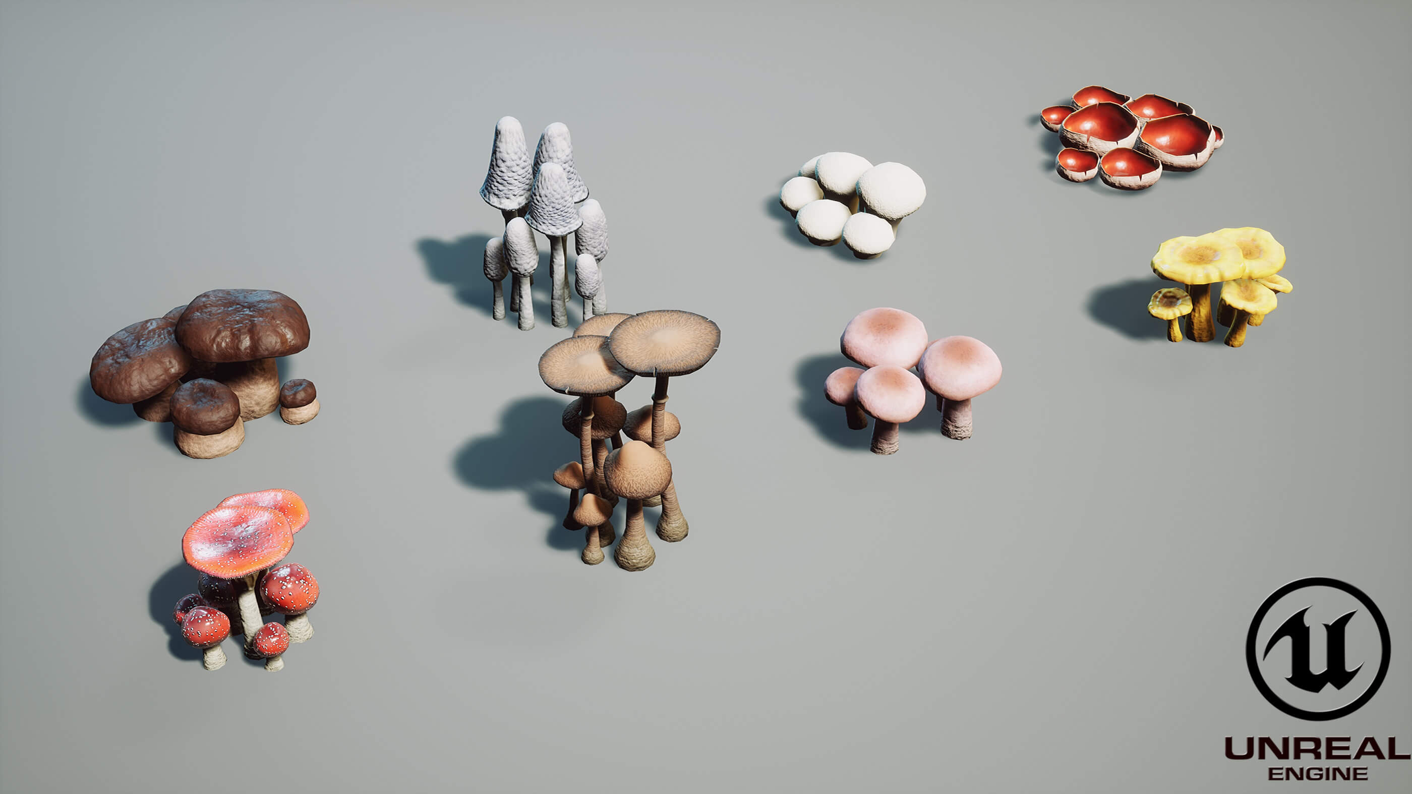 Mushroom Pack - 3D Model by YuriBarinov