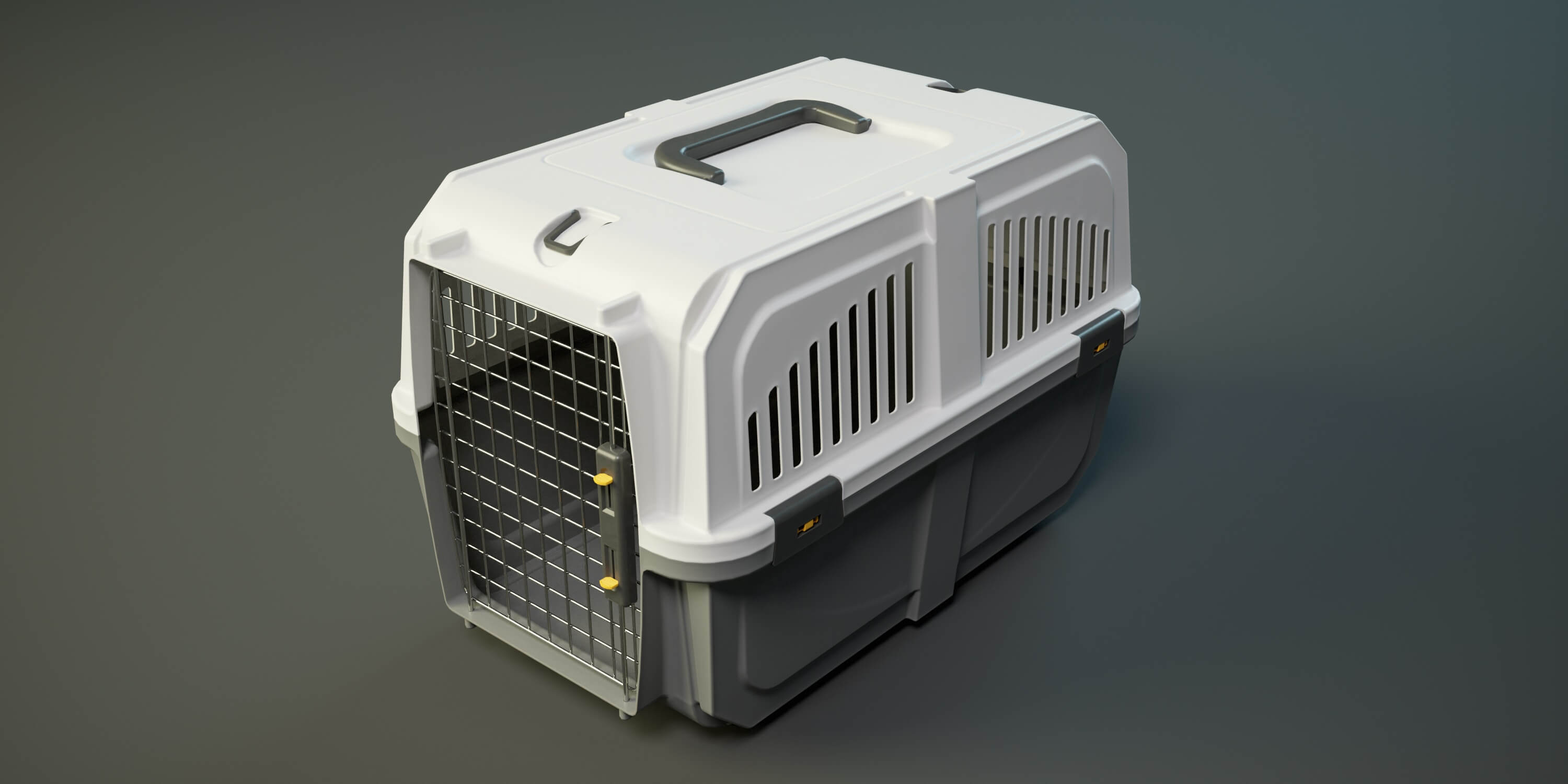 Plastic Pet Carrier PBR - 3D Model by YuriBarinov