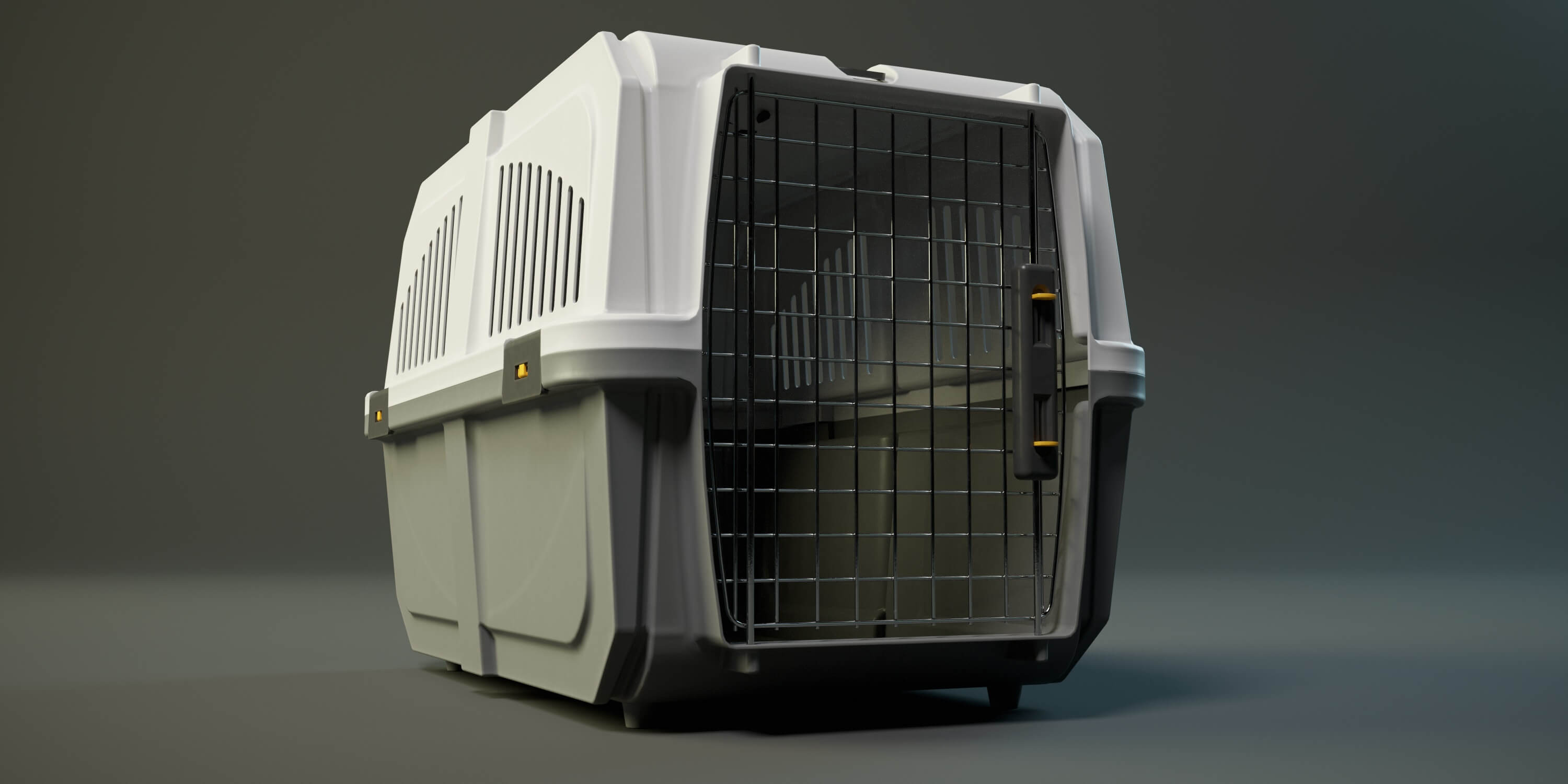 Plastic Pet Carrier PBR - 3D Model by YuriBarinov