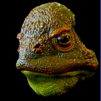 Frog Mask Costume - 3D Model by zaider3d