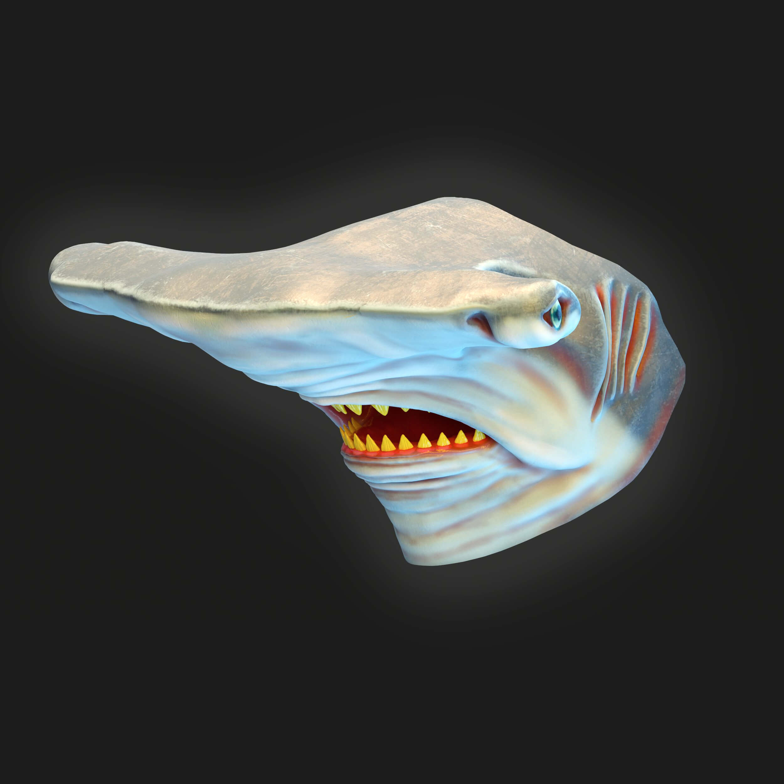 Hammerhead Shark Mask - 3D Model by zaider3d