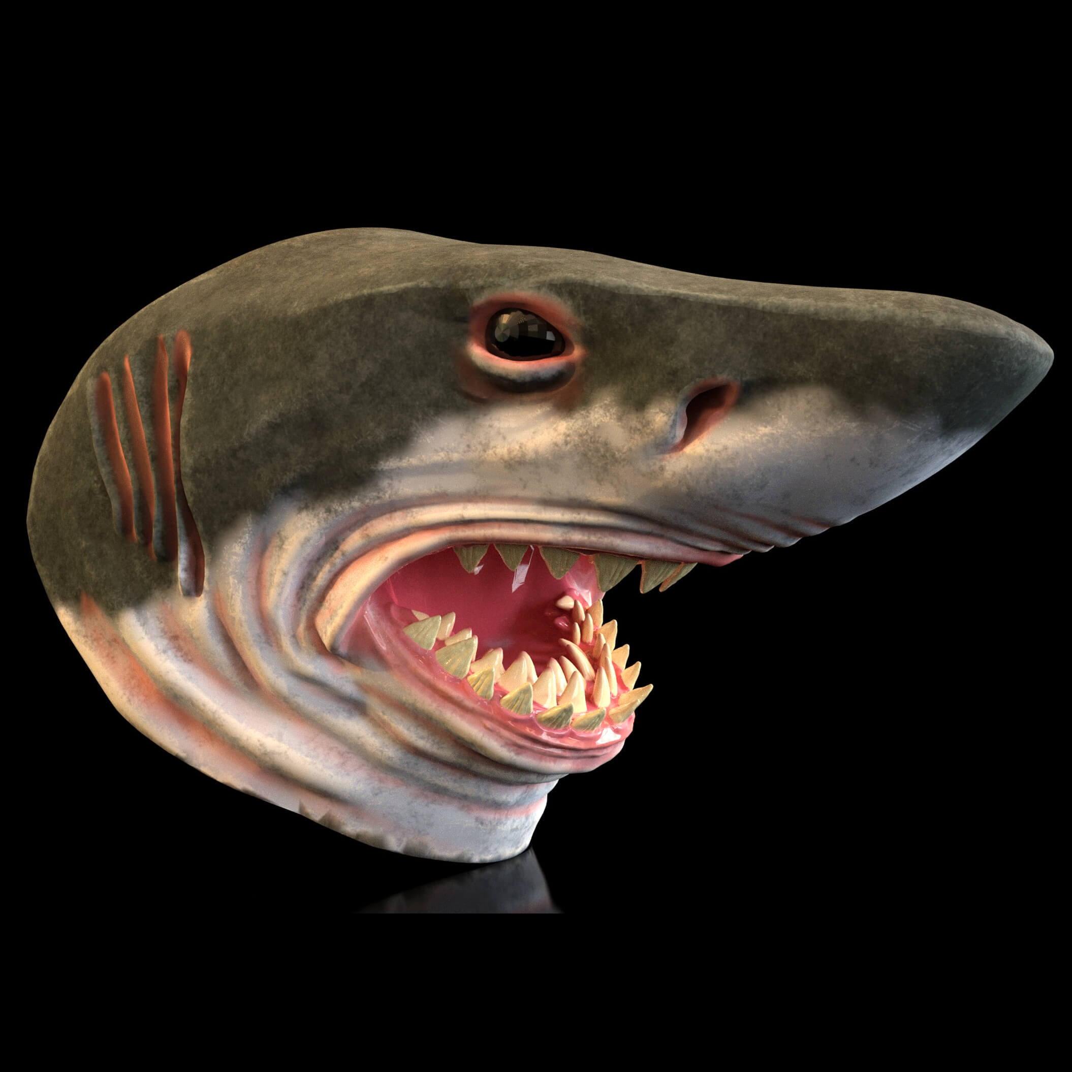 Shark Mask Costume - 3D Model by zaider3d