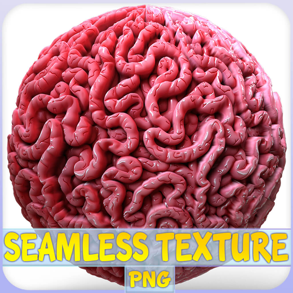 Anatomy Seamless Texture by zames1992d