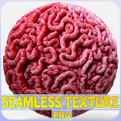 Anatomy Seamless Texture by zames1992d