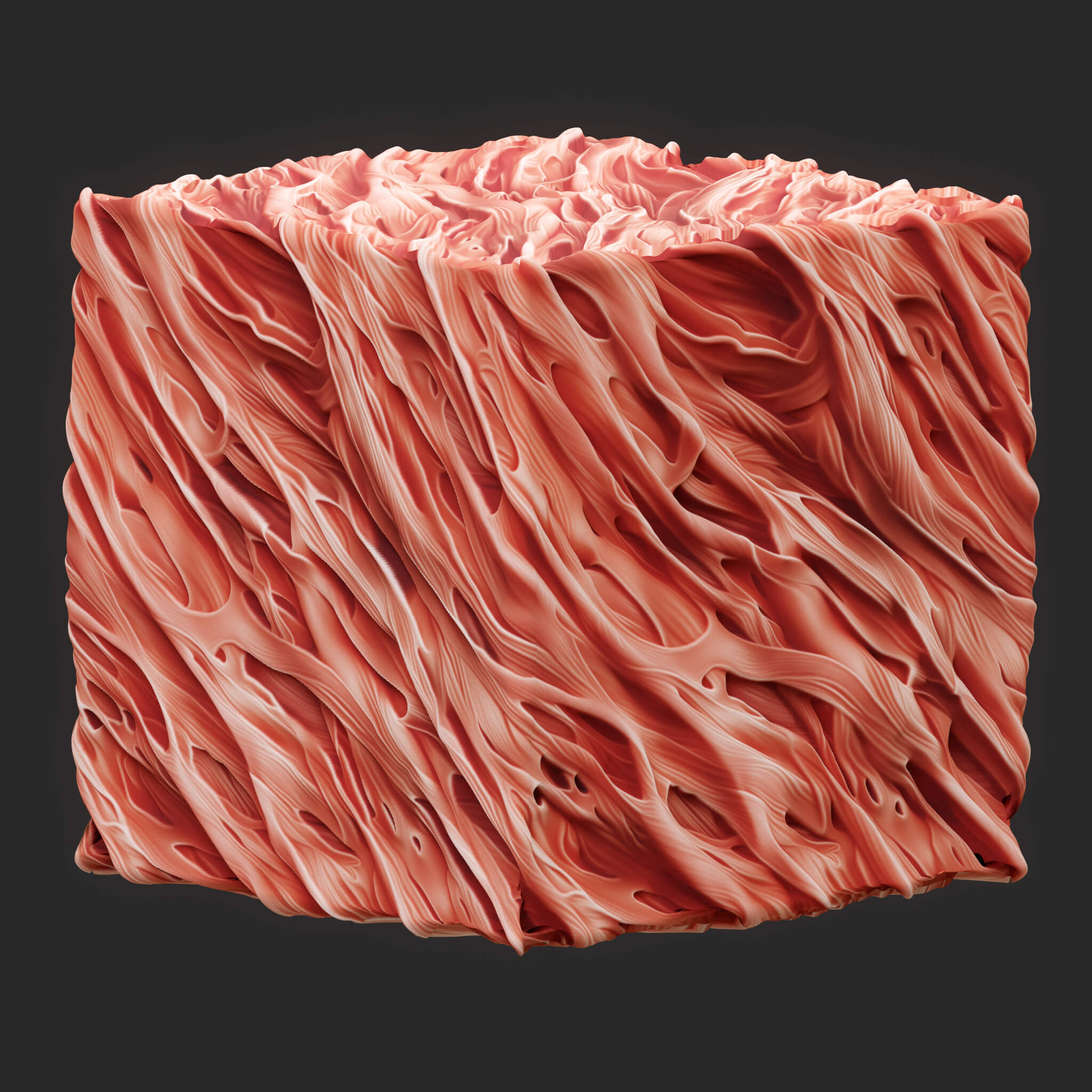 Anatomy Seamless Texture by zames1992d