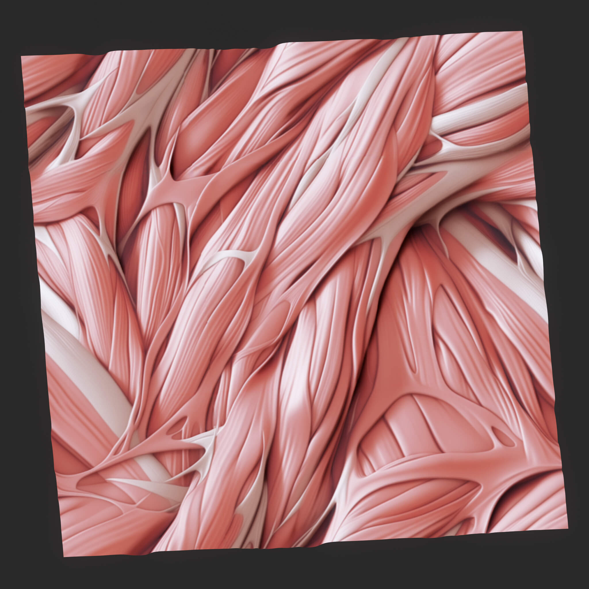 Anatomy Seamless Texture by zames1992d
