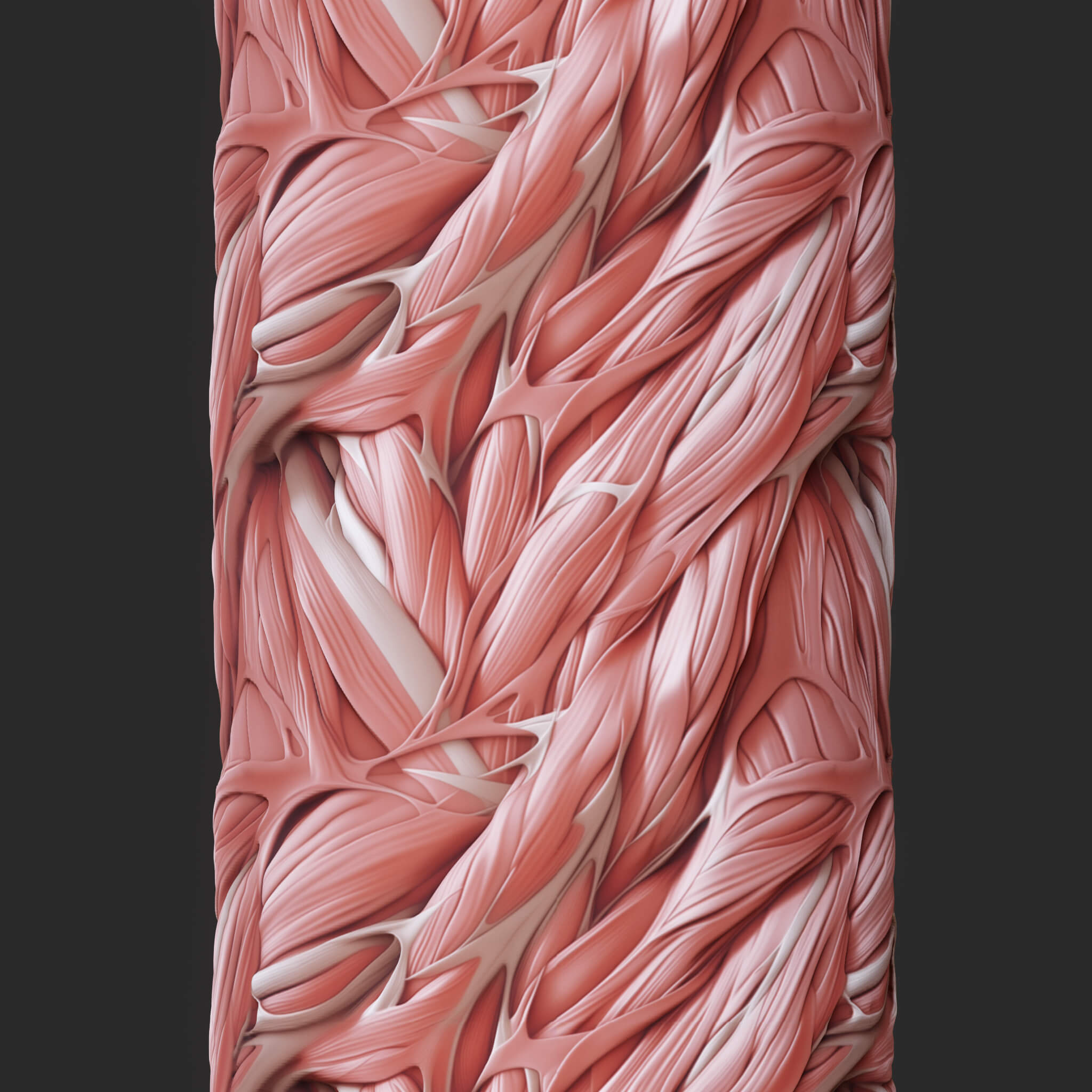 Anatomy Seamless Texture by zames1992d