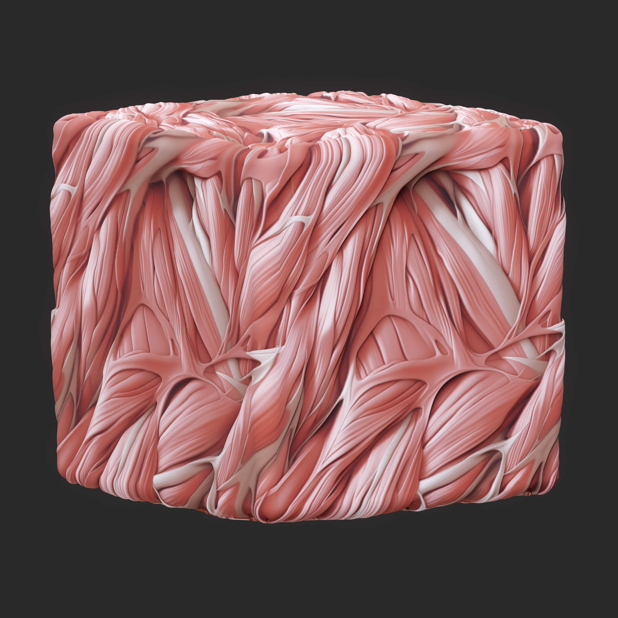 Anatomy Seamless Texture by zames1992d