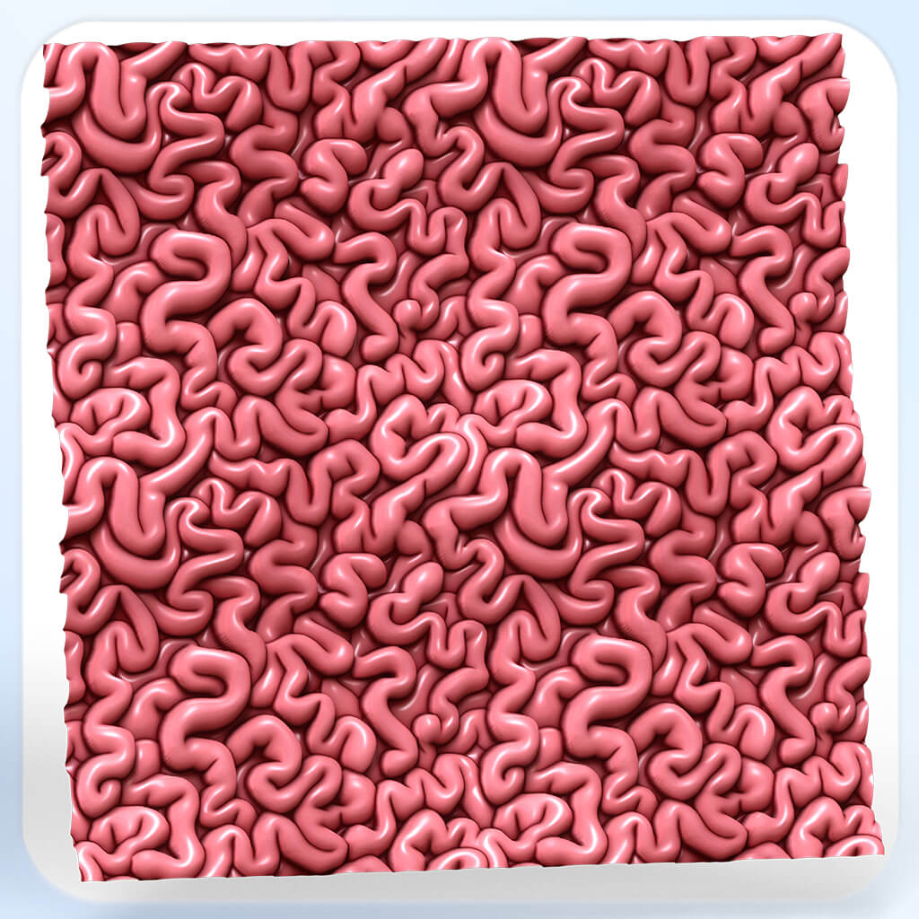 Anatomy Seamless Texture by zames1992d