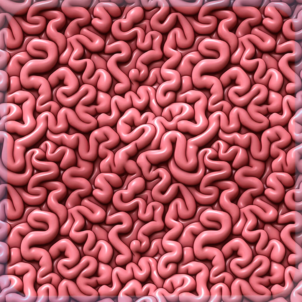 Anatomy Seamless Texture by zames1992d