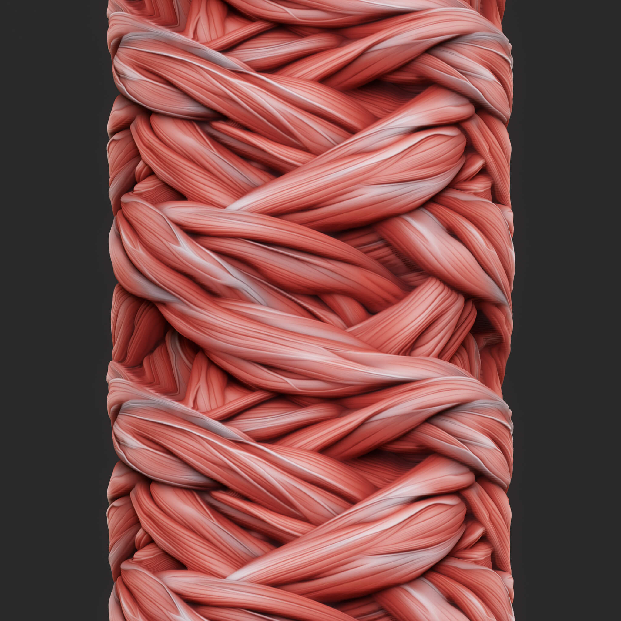 Anatomy Seamless Texture by zames1992d
