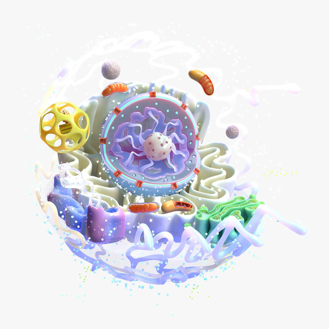 Animal Cell Structure - 3D Model by zames1992d