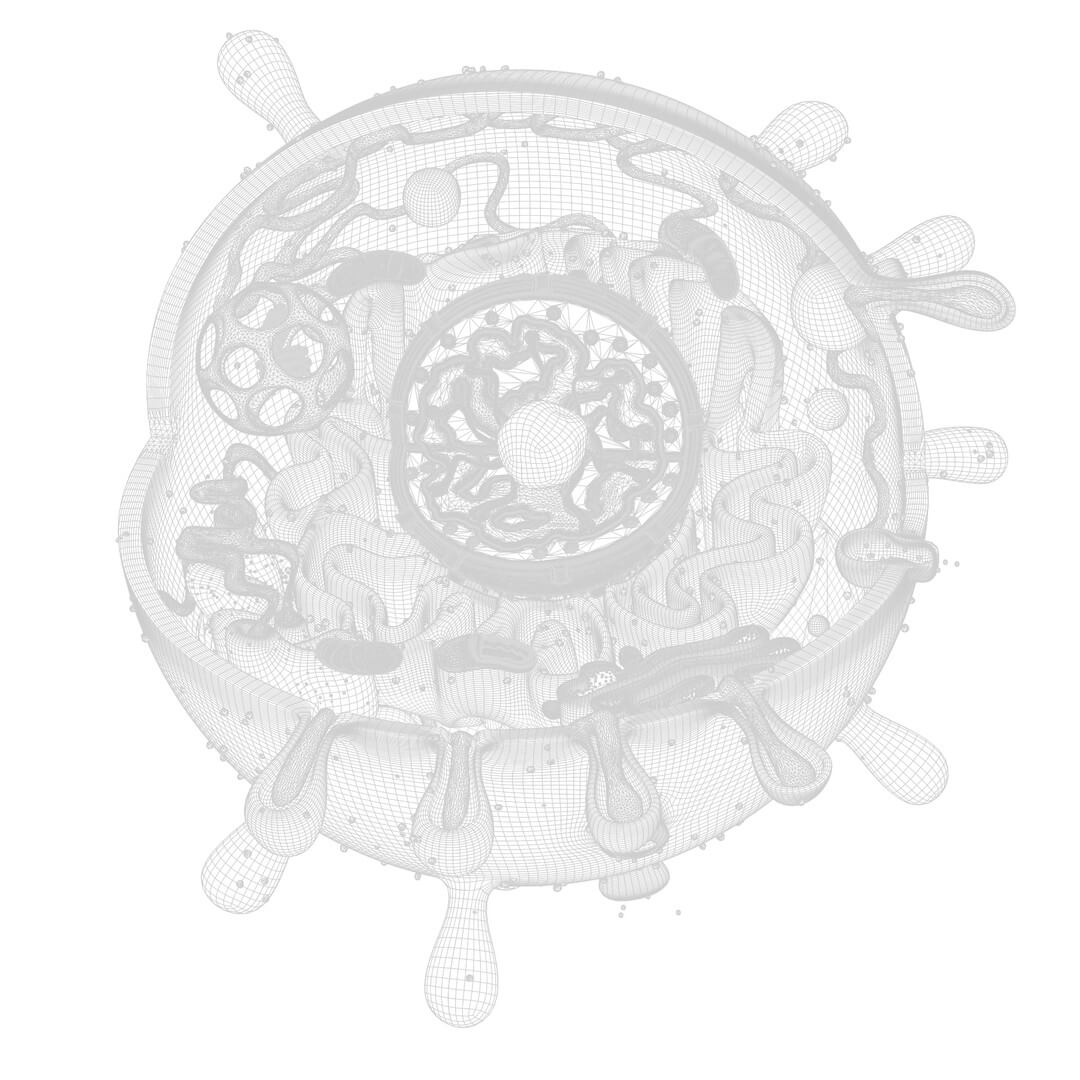 Animal Cell Structure - 3D Model by zames1992d