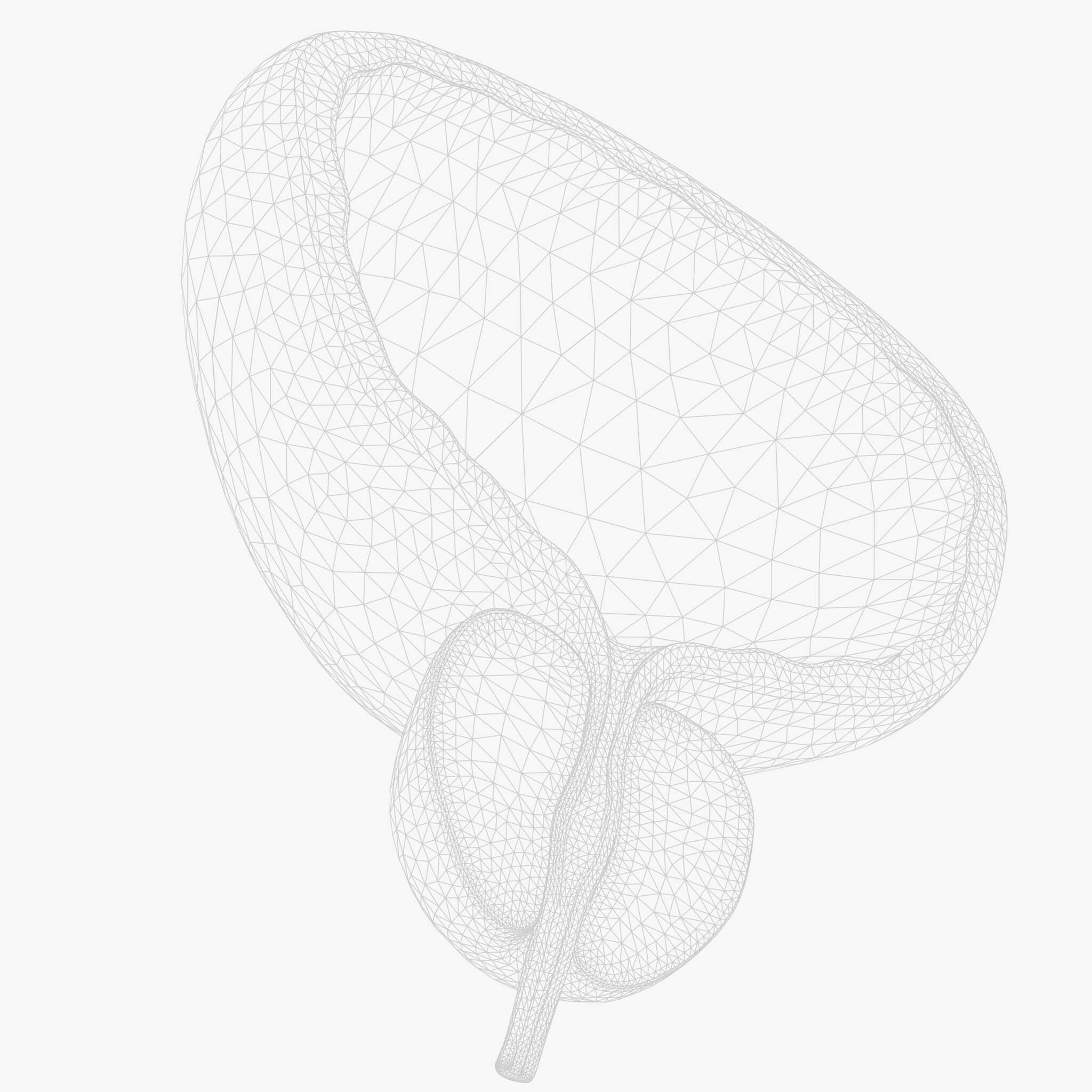 Bladder Cross Section - 3D Model by zames1992d