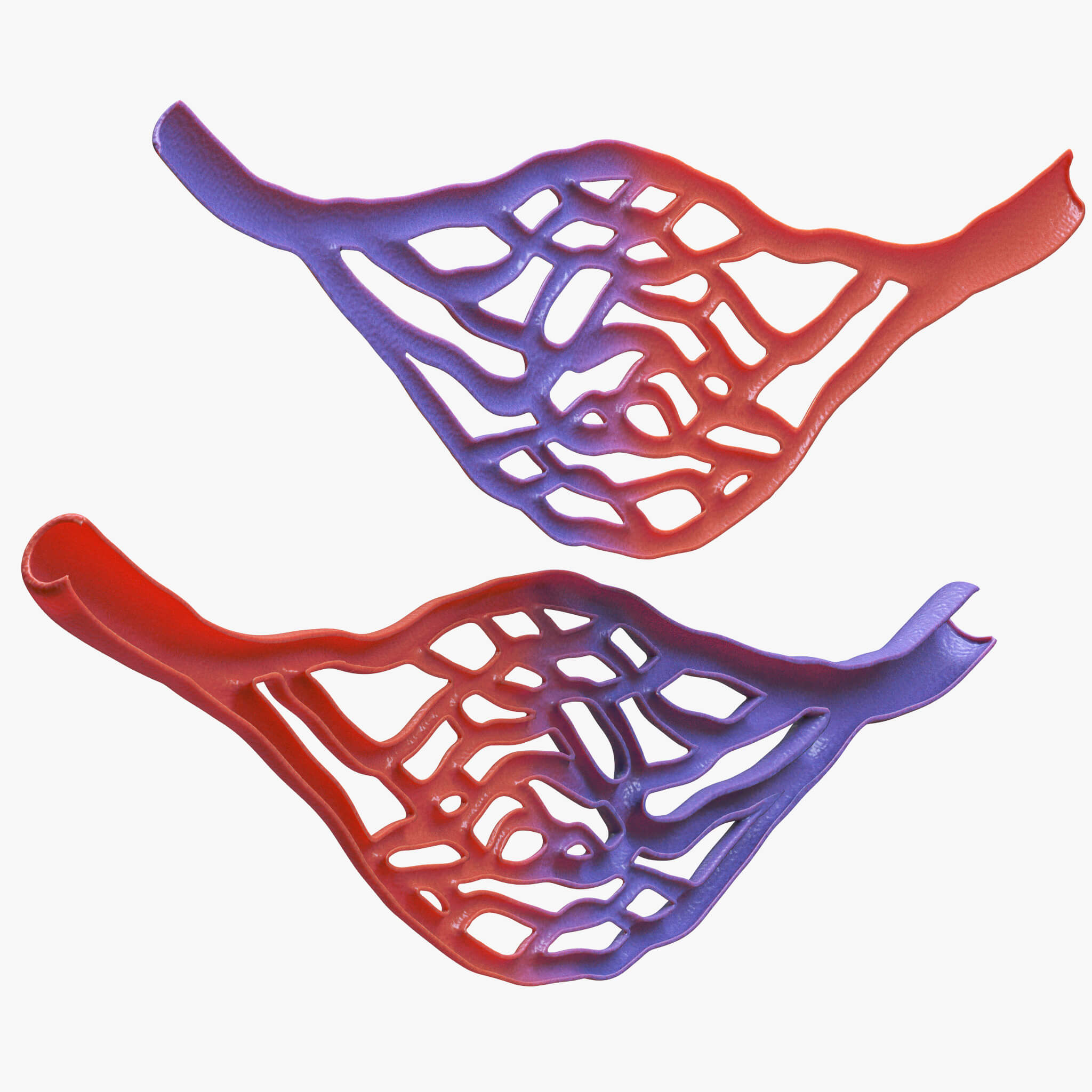 Blood Vessel Cross Section - 3D Model by zames1992d