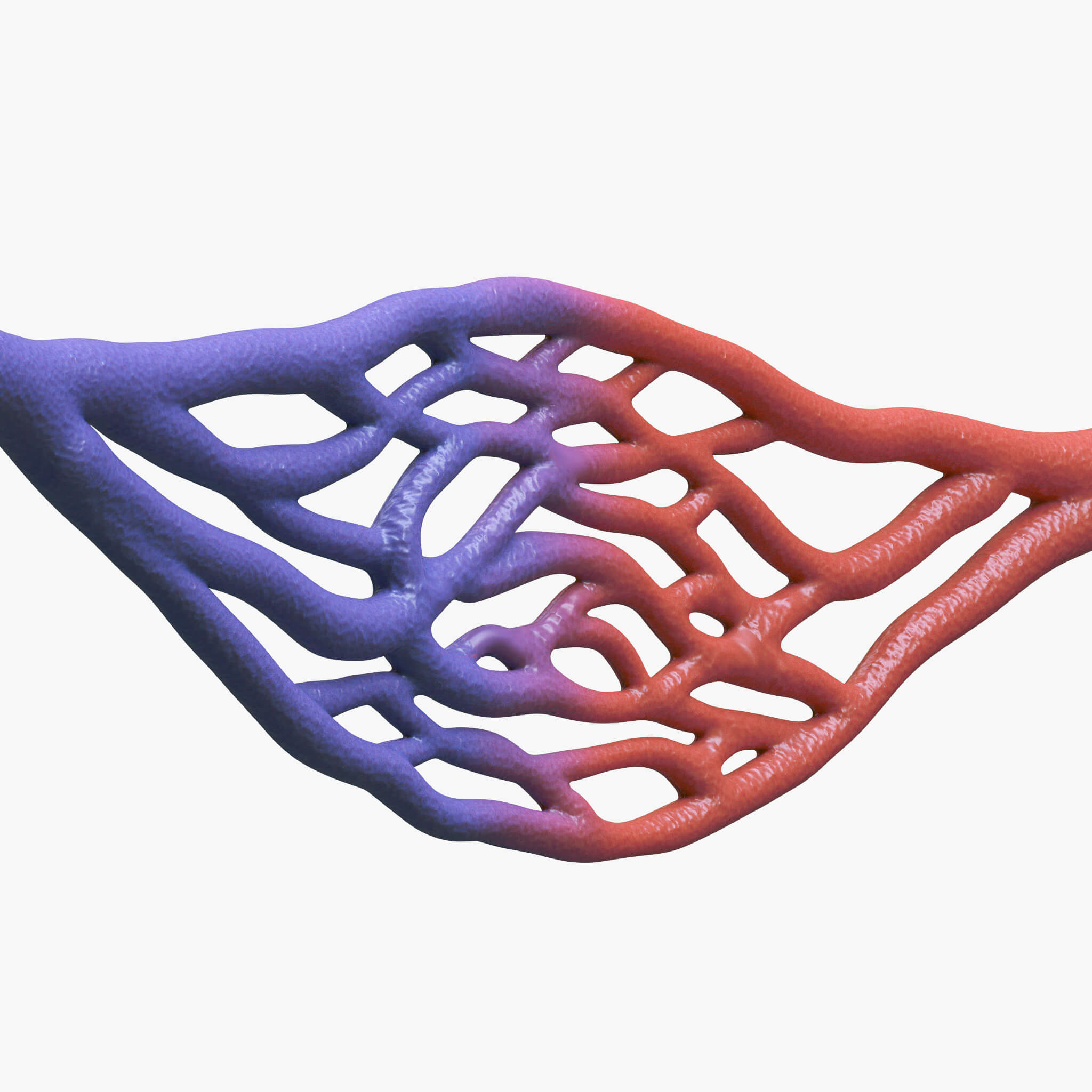 Blood Vessel Cross Section - 3D Model by zames1992d