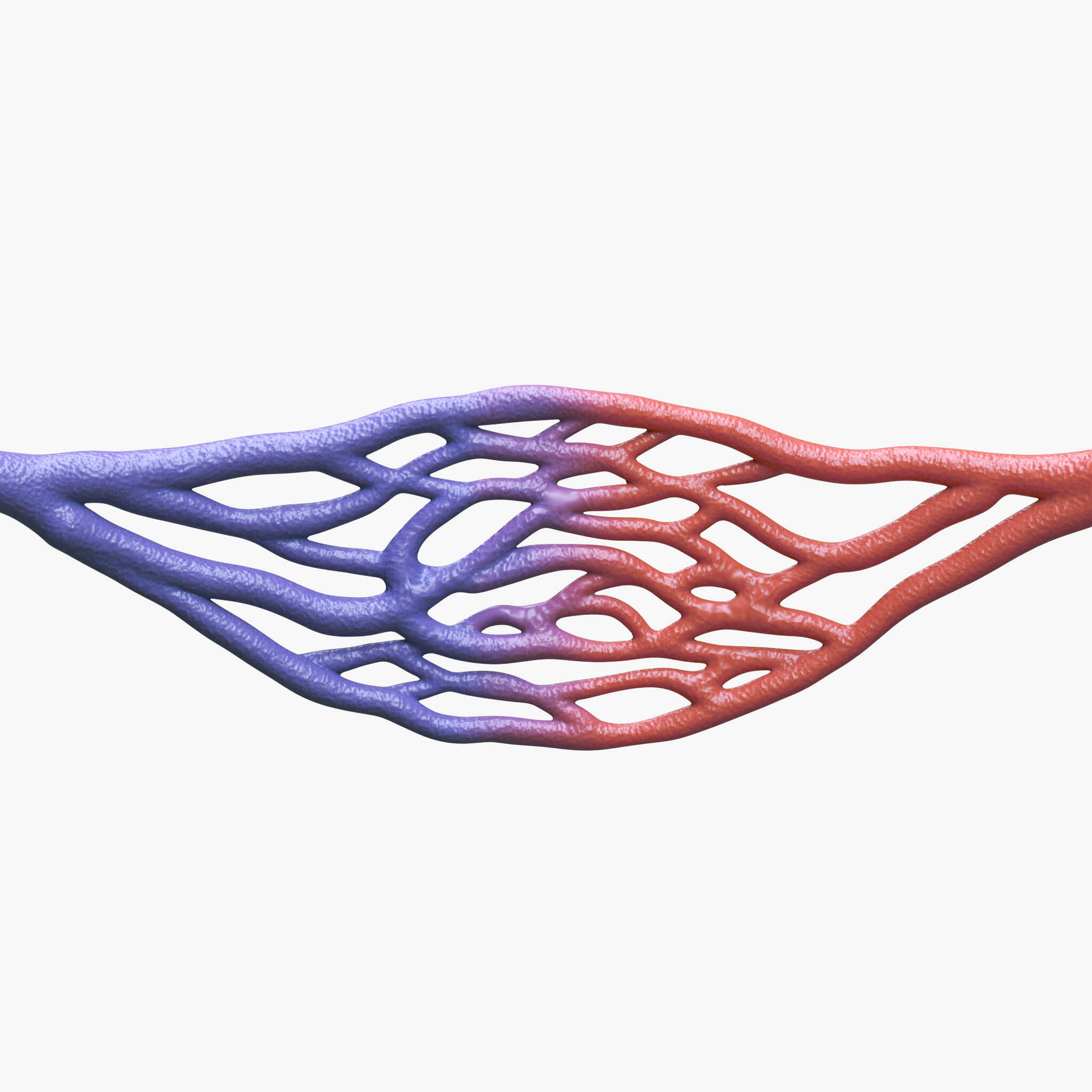 Blood Vessel Cross Section - 3D Model by zames1992d