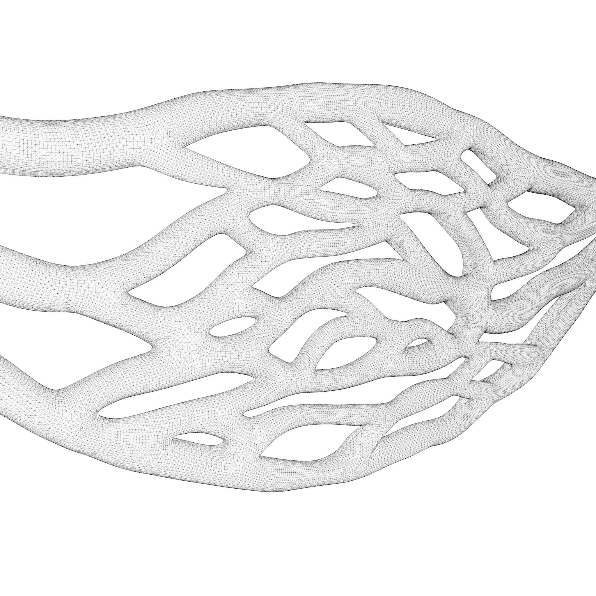 Blood Vessel Cross Section - 3D Model by zames1992d