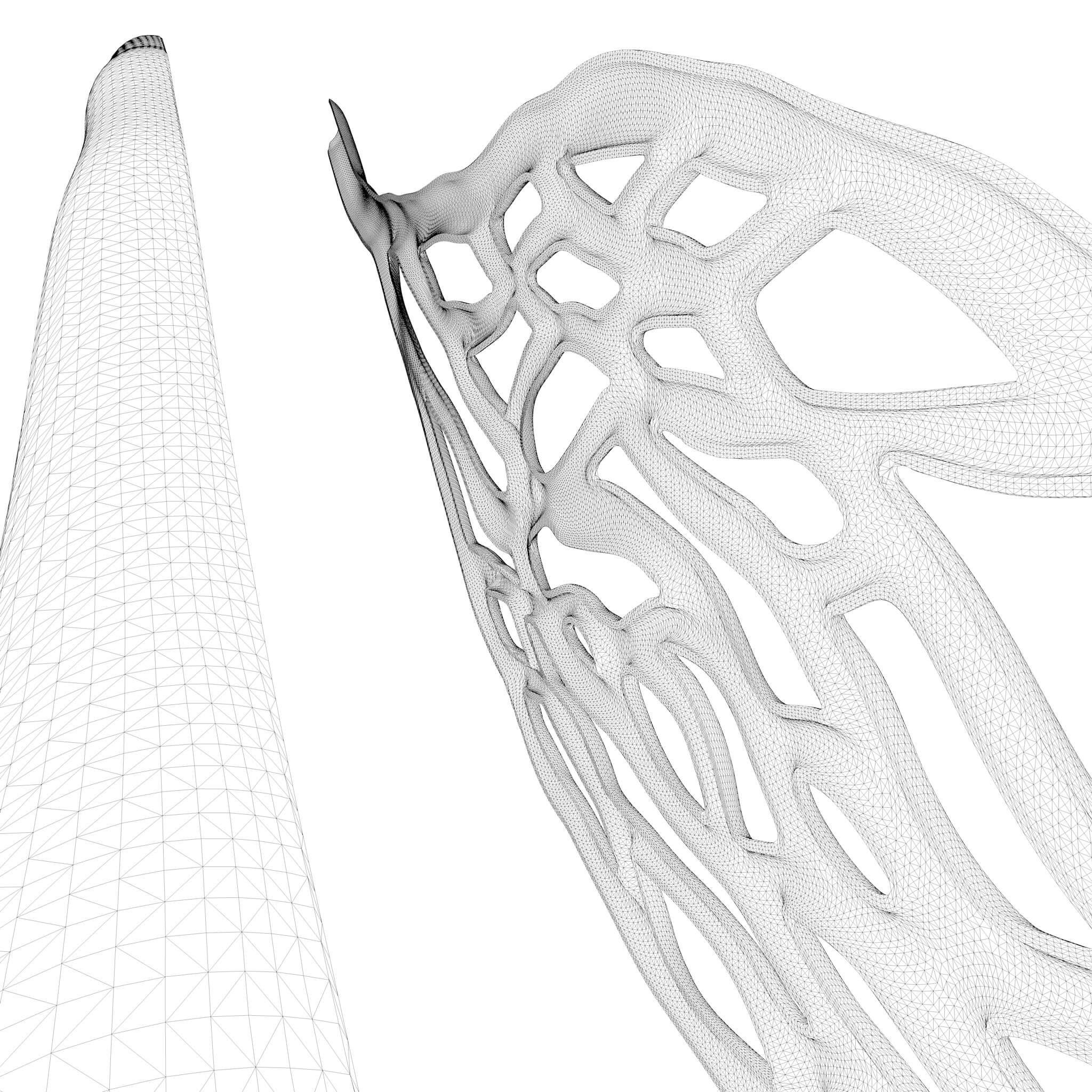 Blood Vessel Cross Section - 3D Model by zames1992d