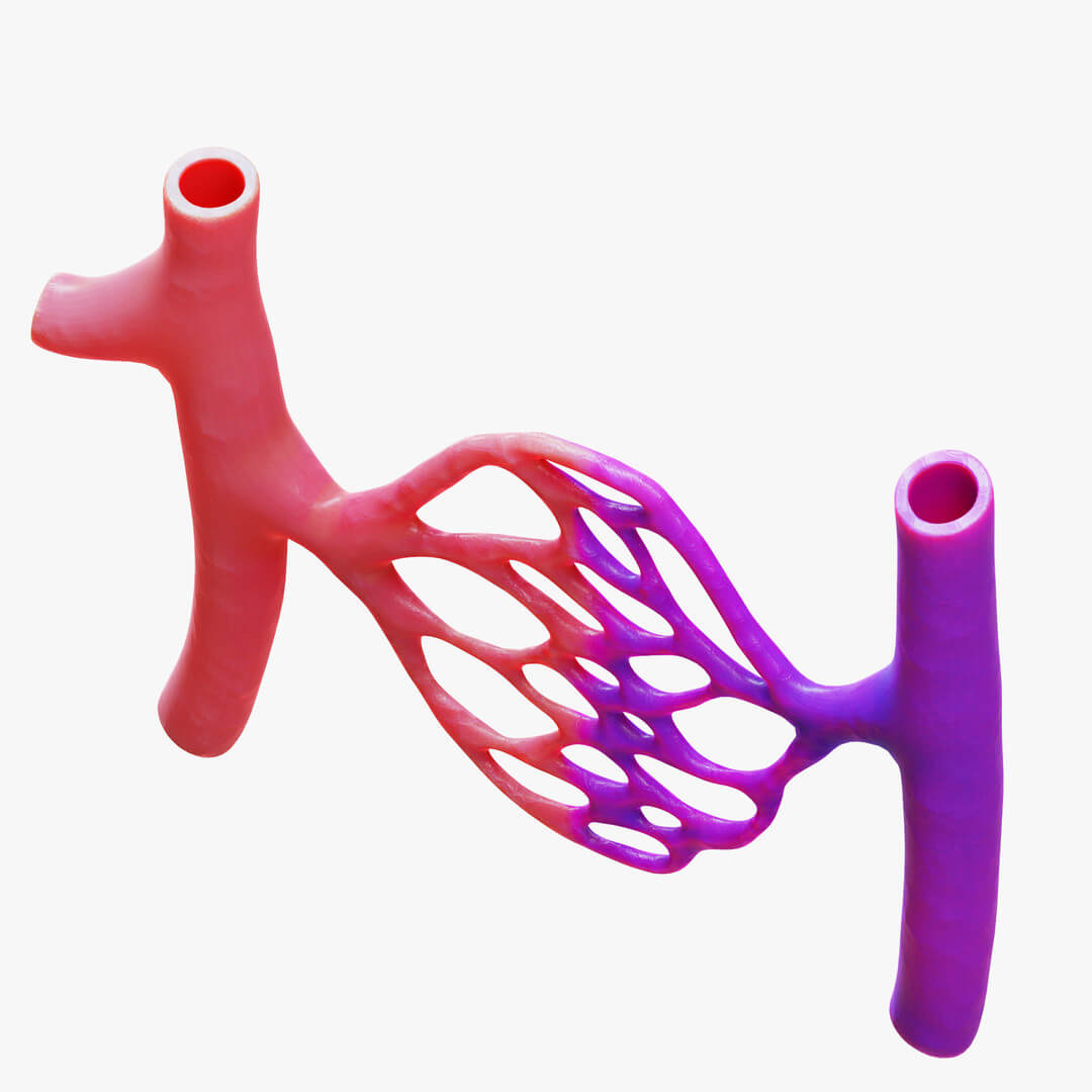 Blood Vessels - 3D Model by zames1992d