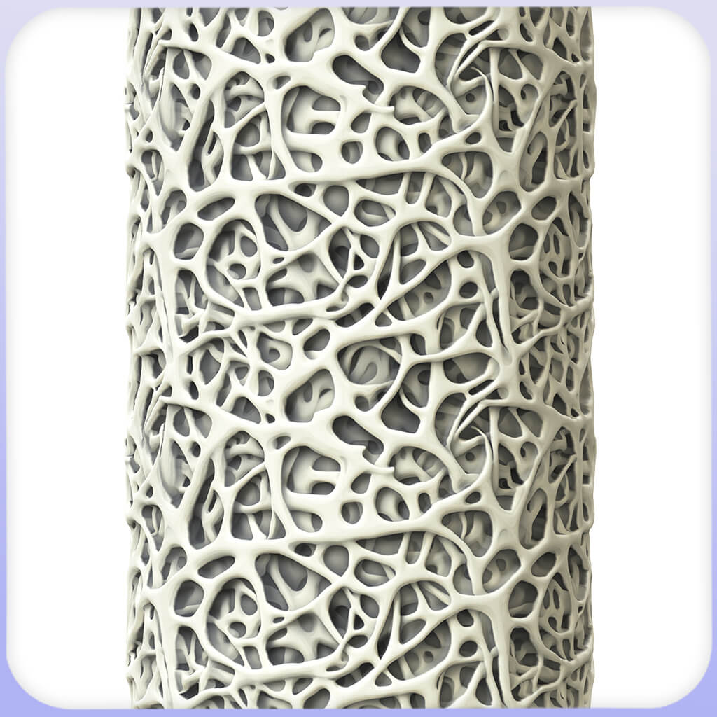 Bone Seamless Texture by zames1992d