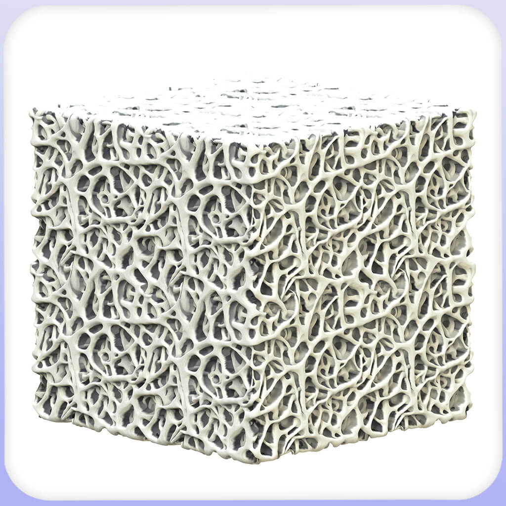 Bone Seamless Texture by zames1992d