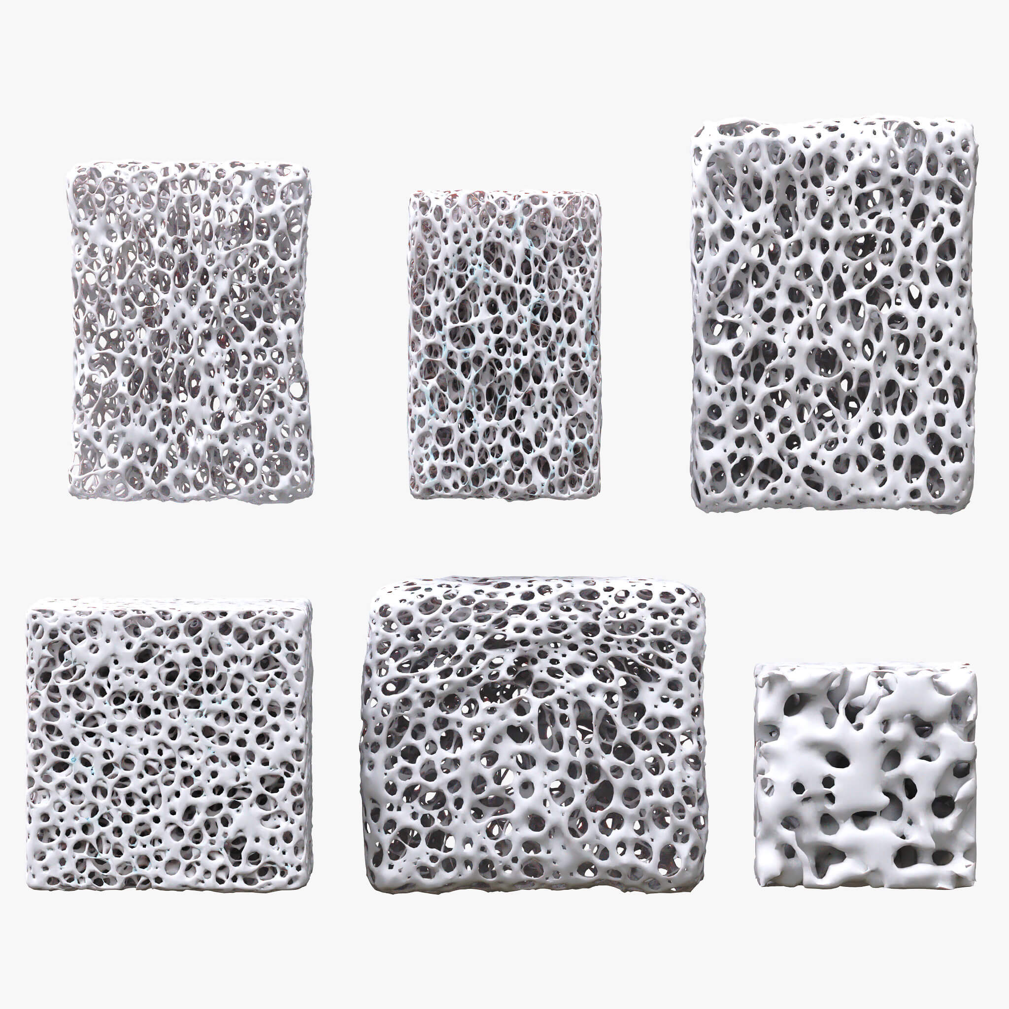 Bone Sponge Structure Bundle - 3D Model by zames1992d