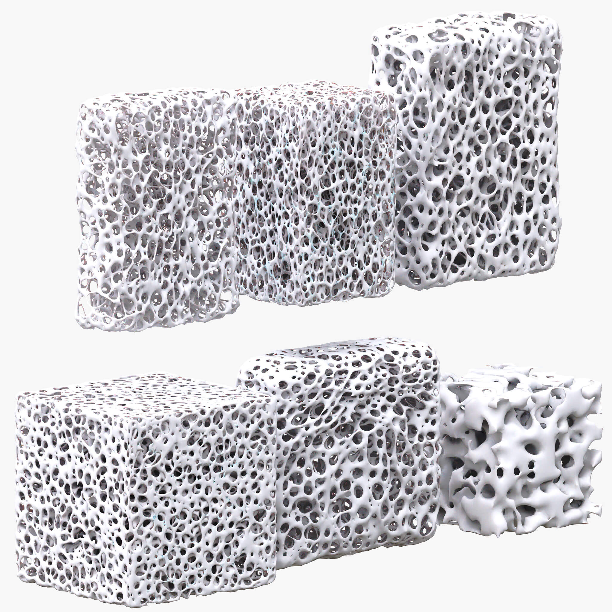 Bone Sponge Structure Bundle - 3D Model by zames1992d