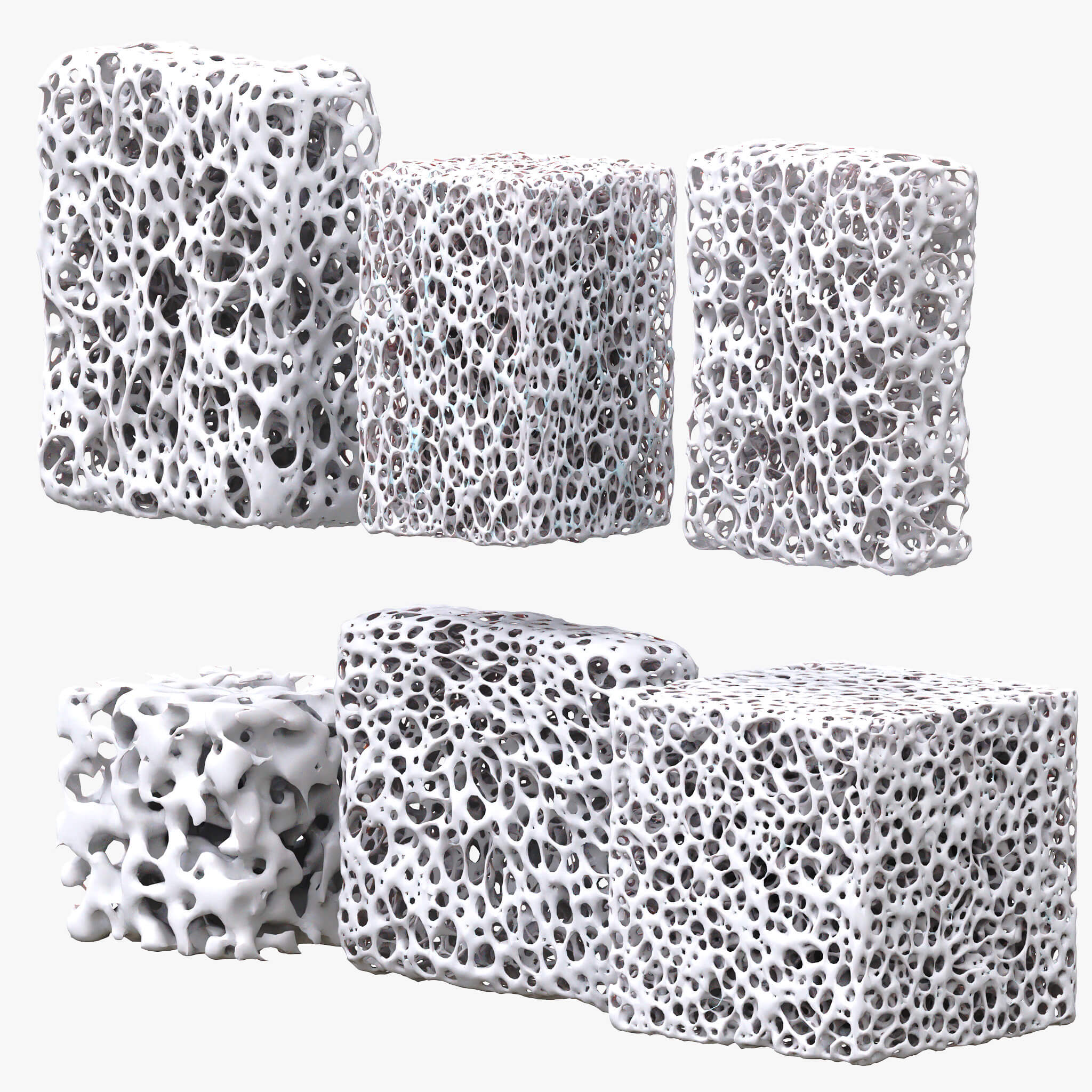 Bone Sponge Structure Bundle - 3D Model by zames1992d