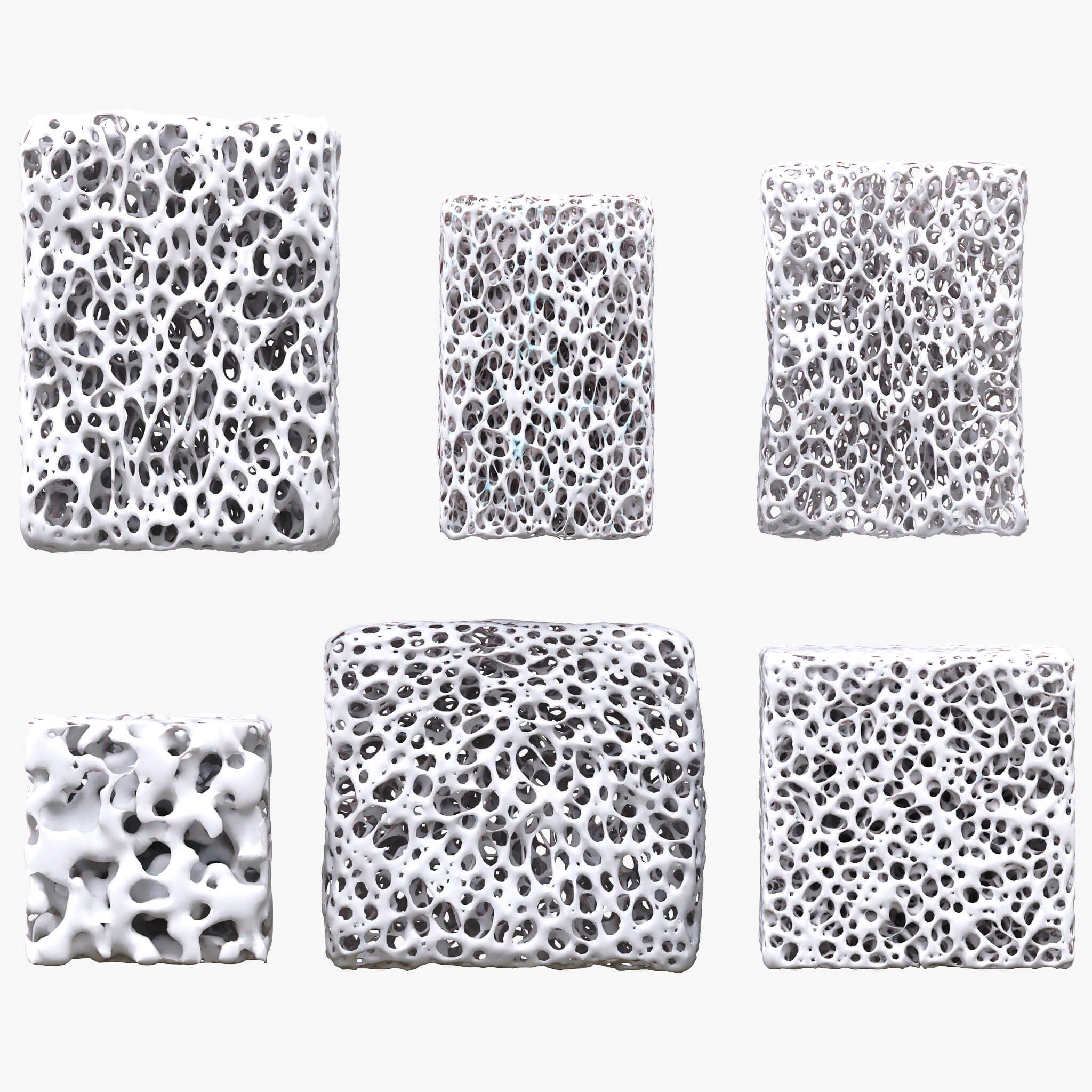 Bone Sponge Structure Bundle - 3D Model by zames1992d