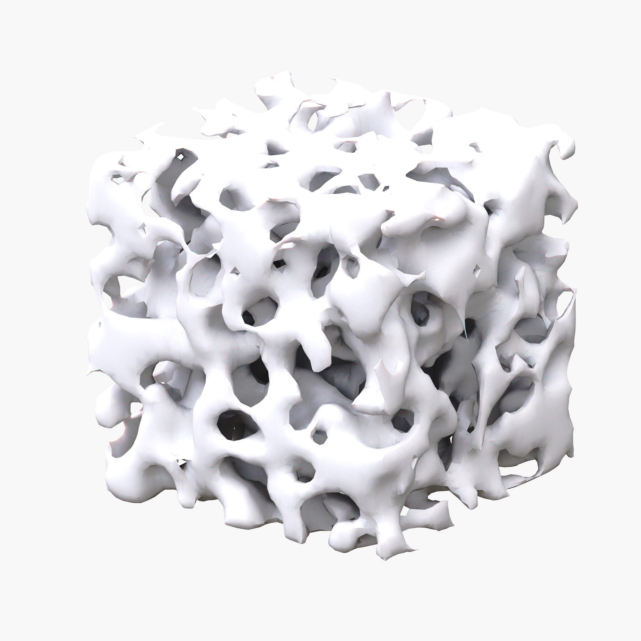 Bone Sponge Structure Bundle - 3D Model by zames1992d