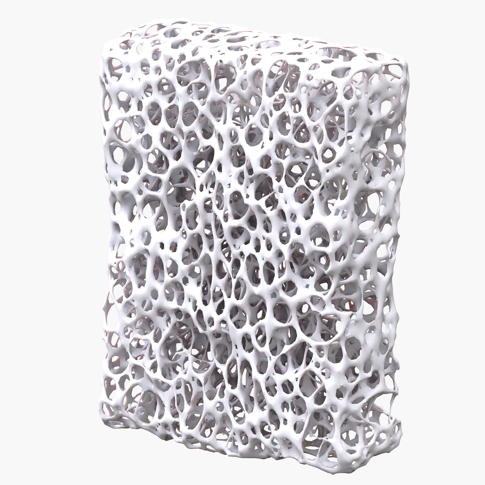 Bone Sponge Structure Bundle - 3D Model by zames1992d