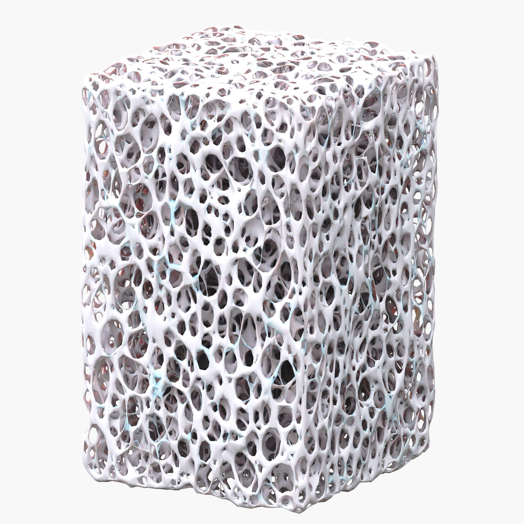 Bone Sponge Structure Bundle - 3D Model by zames1992d