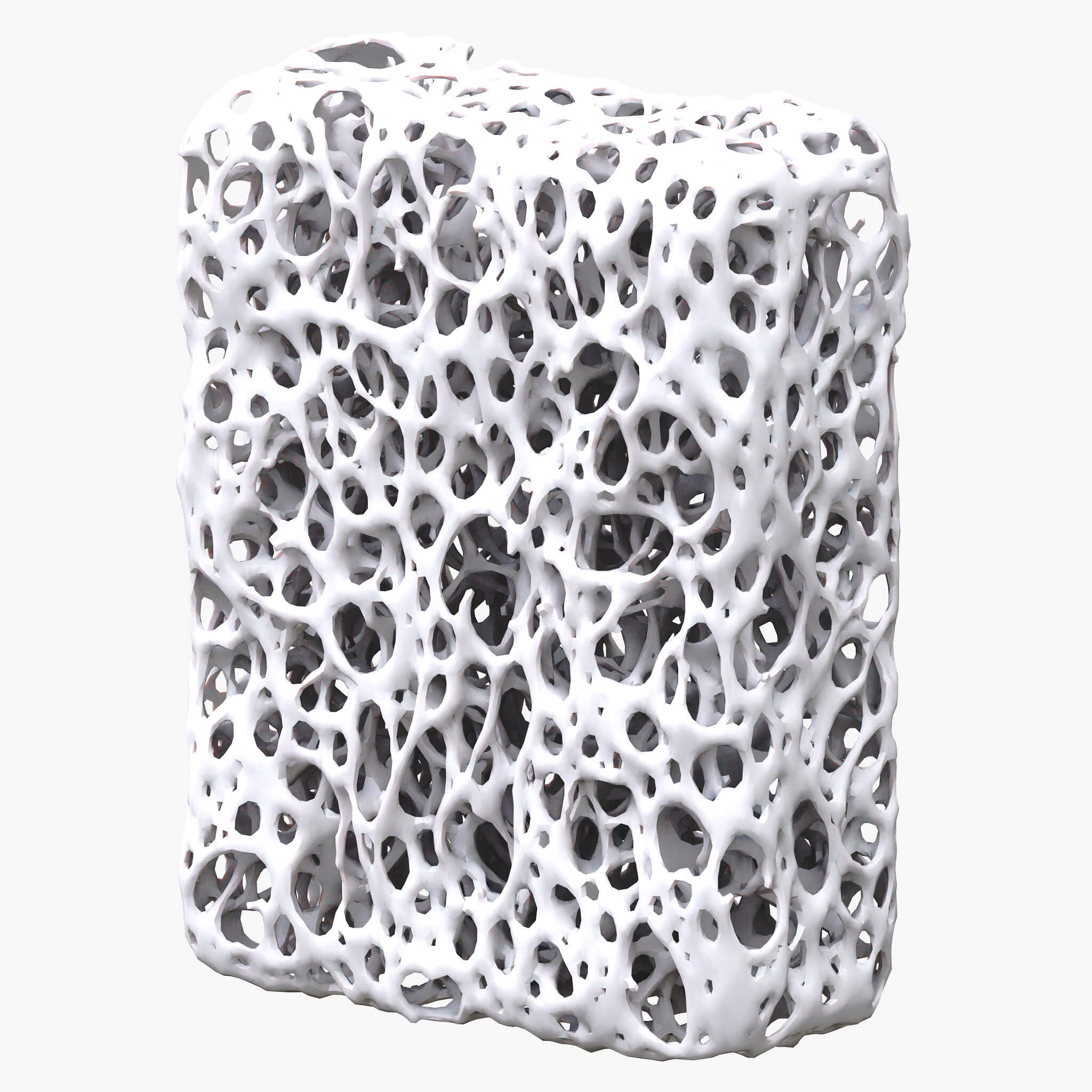 Bone Sponge Structure Bundle - 3D Model by zames1992d