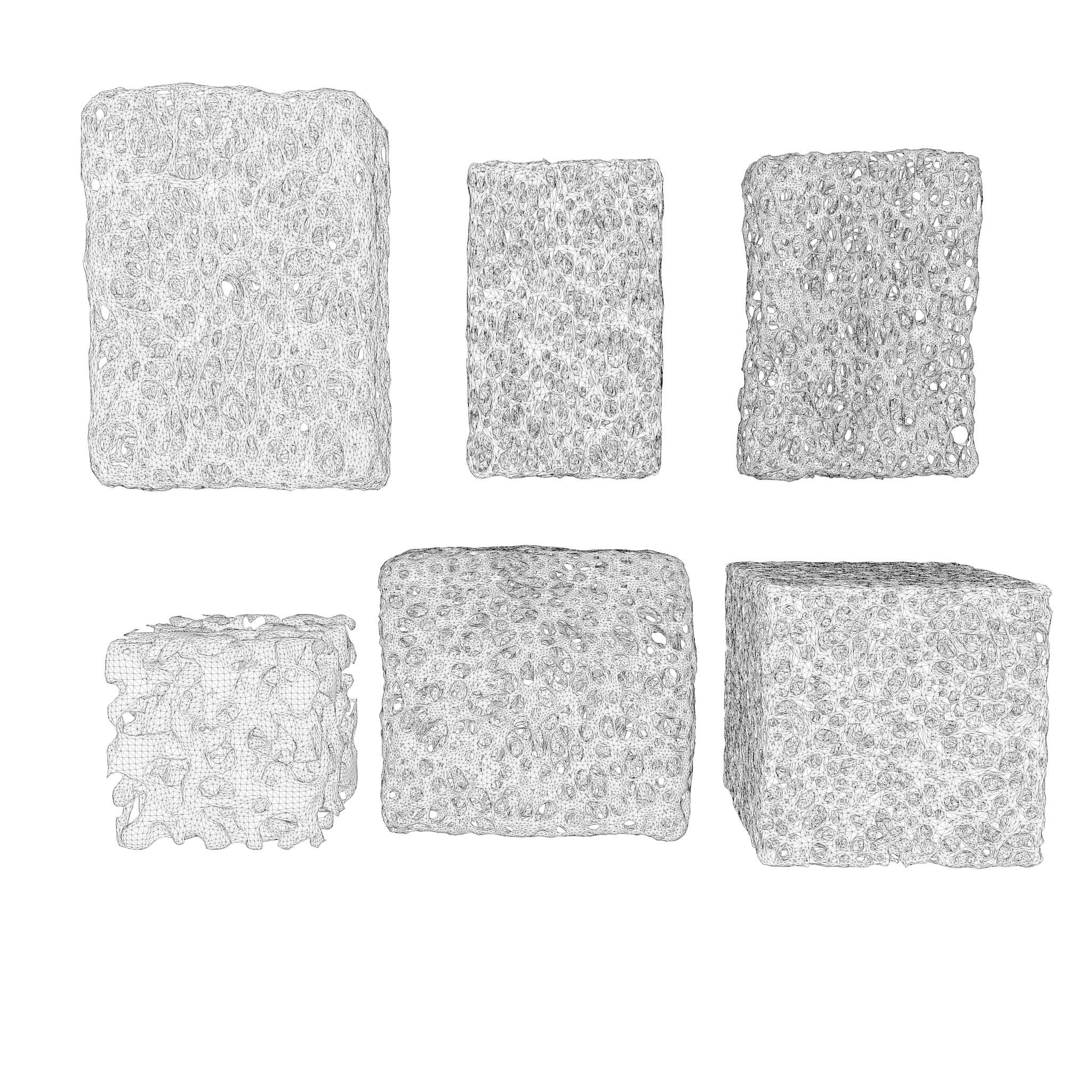 Bone Sponge Structure Bundle - 3D Model by zames1992d