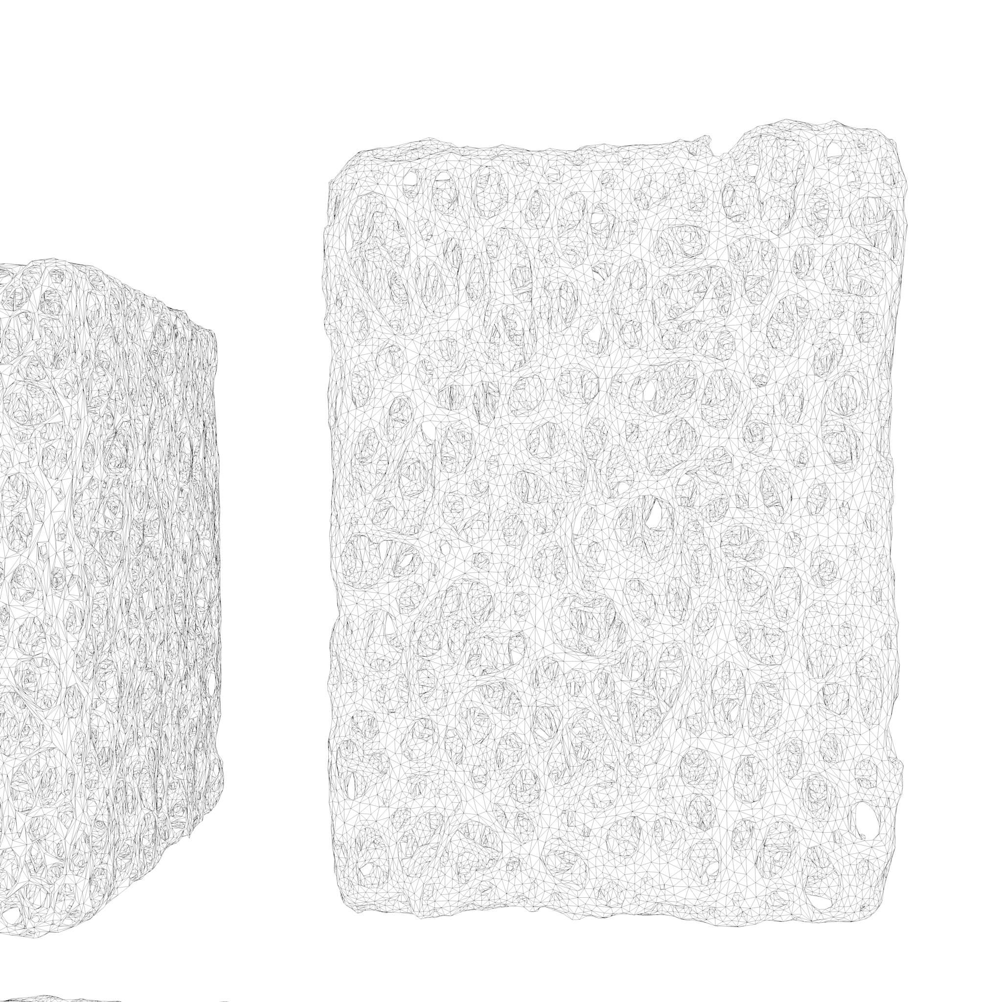 Bone Sponge Structure Bundle - 3D Model by zames1992d