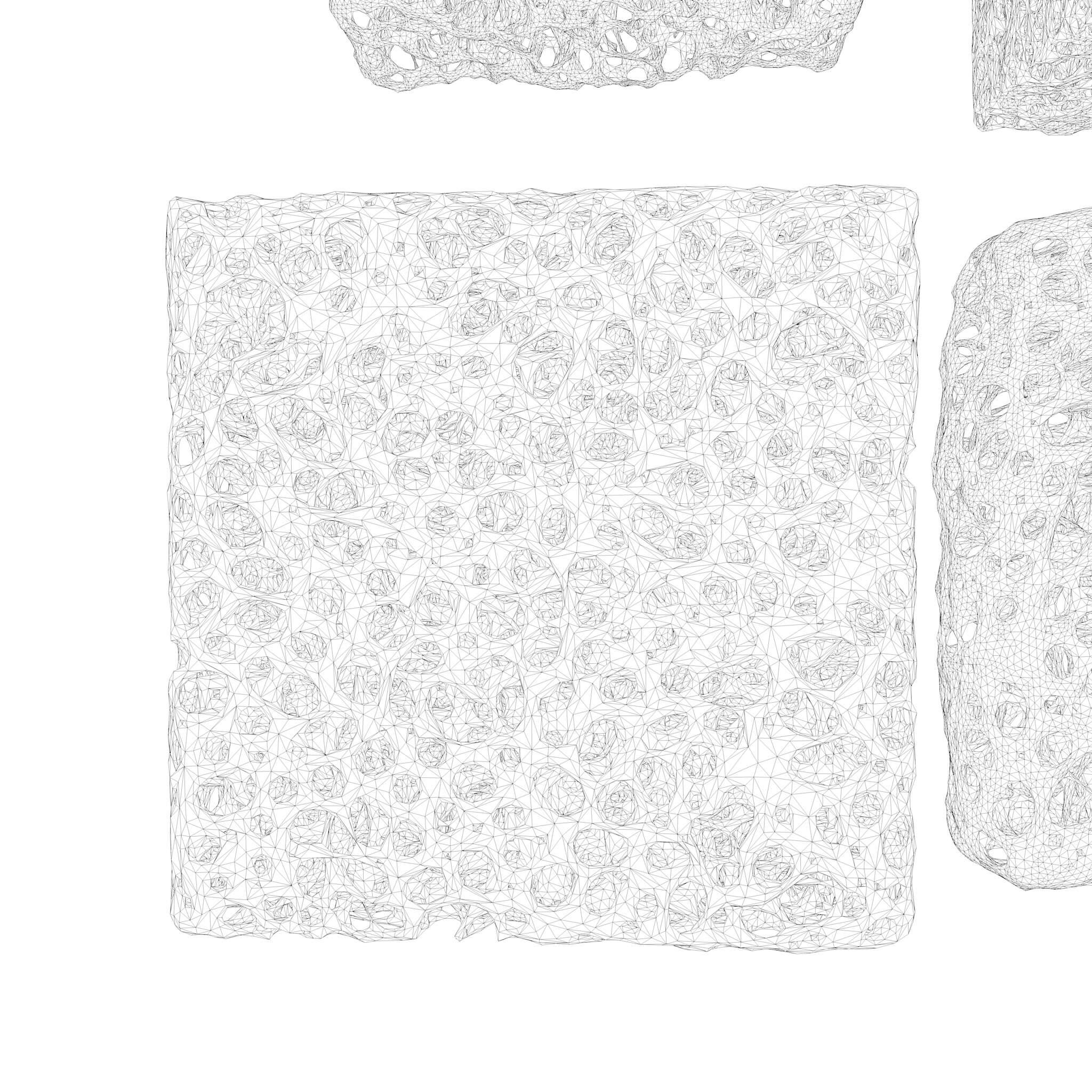 Bone Sponge Structure Bundle - 3D Model by zames1992d