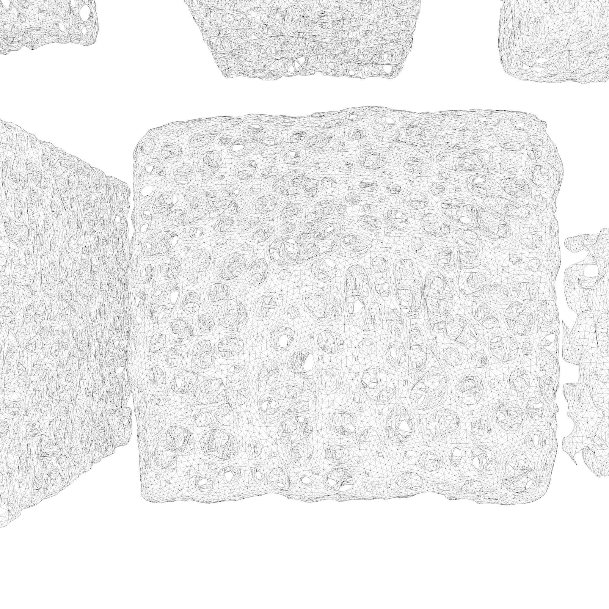 Bone Sponge Structure Bundle - 3D Model by zames1992d