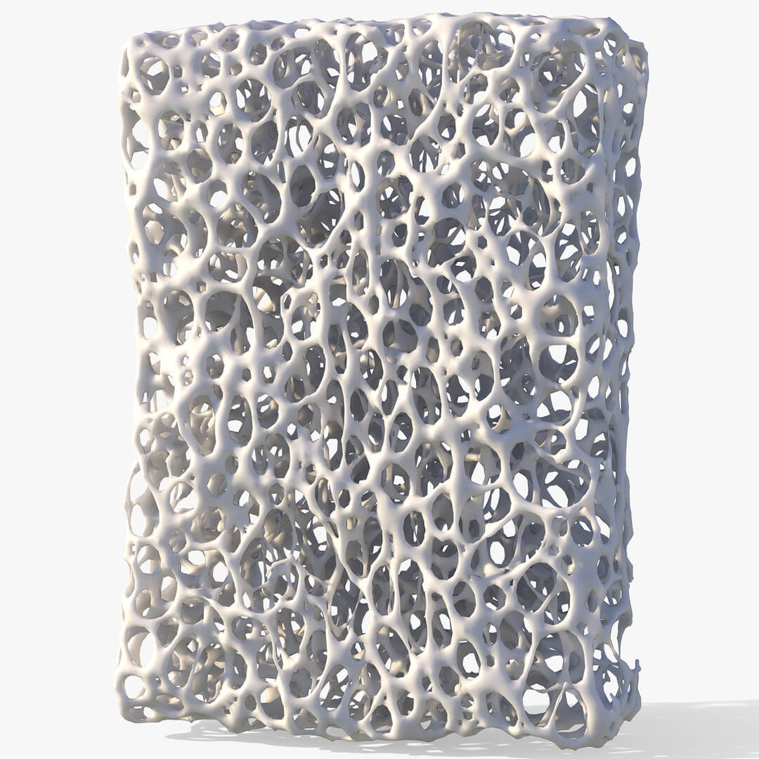 Bone Structure Sponge - 3D Model by zames1992d