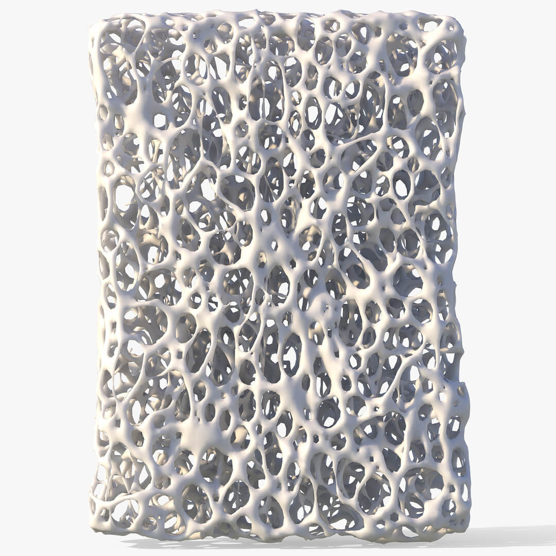 Bone Structure Sponge - 3D Model by zames1992d