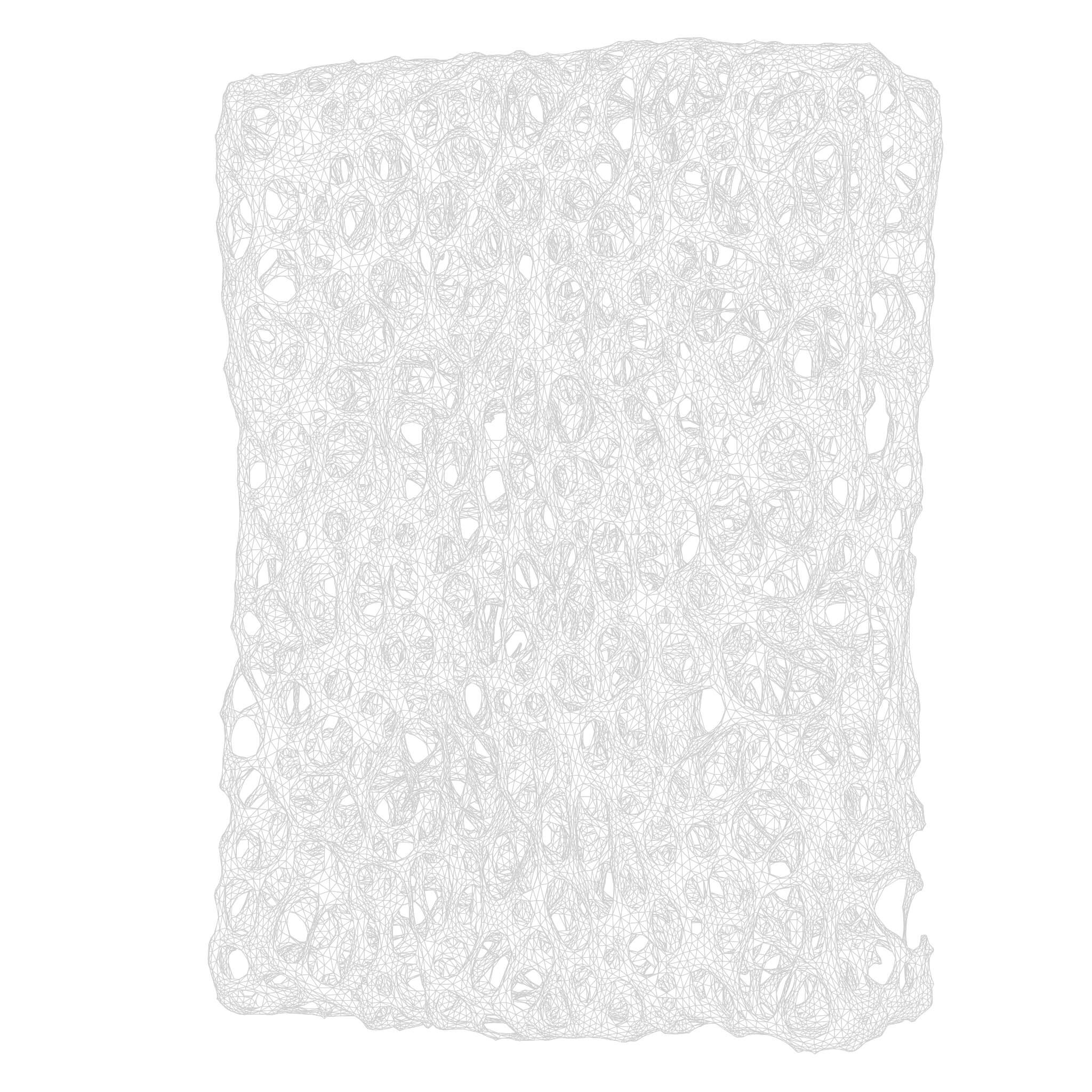 Bone Structure Sponge - 3D Model by zames1992d