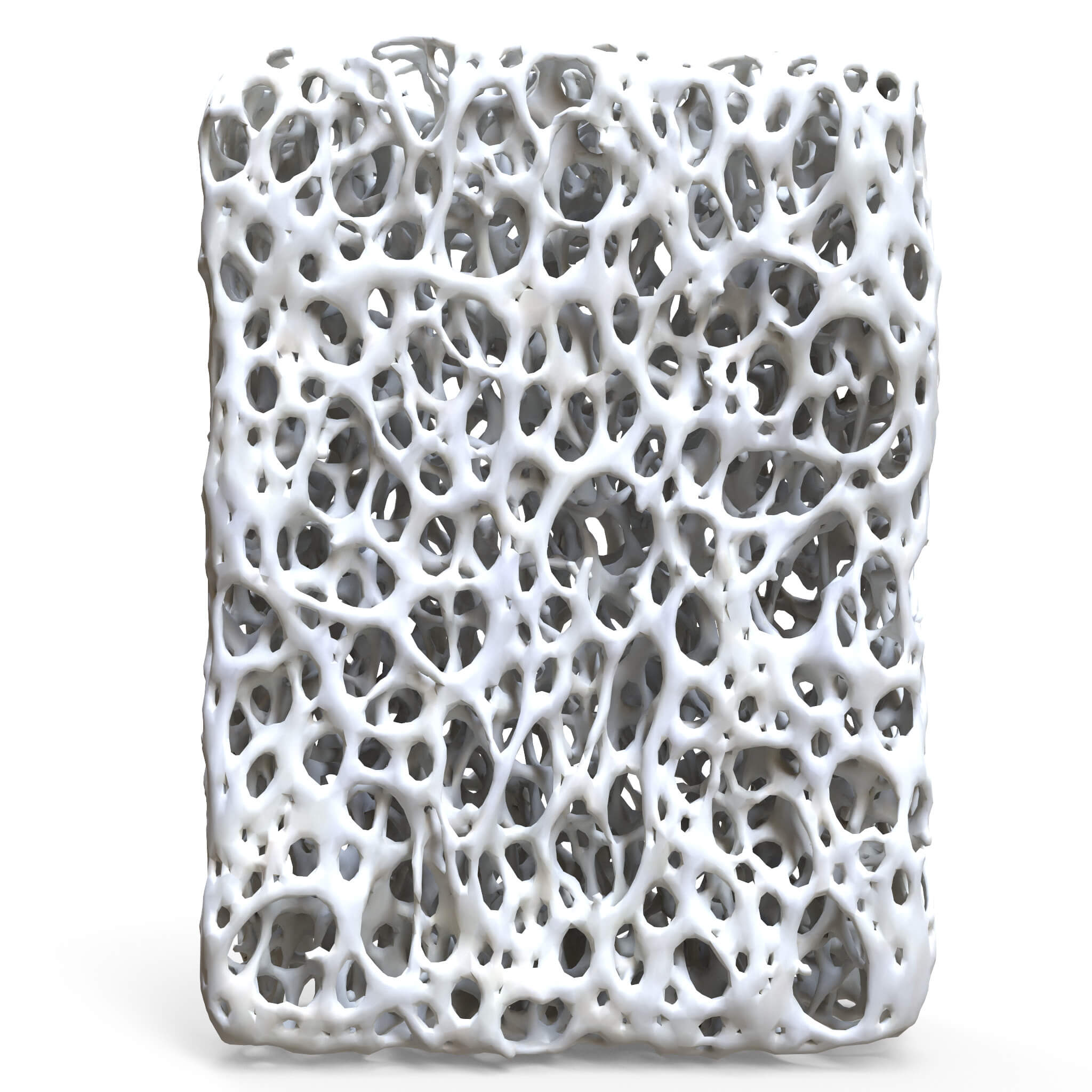 Bone Structure - 3D Model by zames1992d