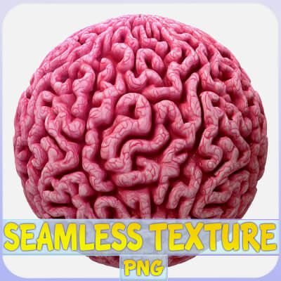 3D Textures | Textures | Brains | RenderHub