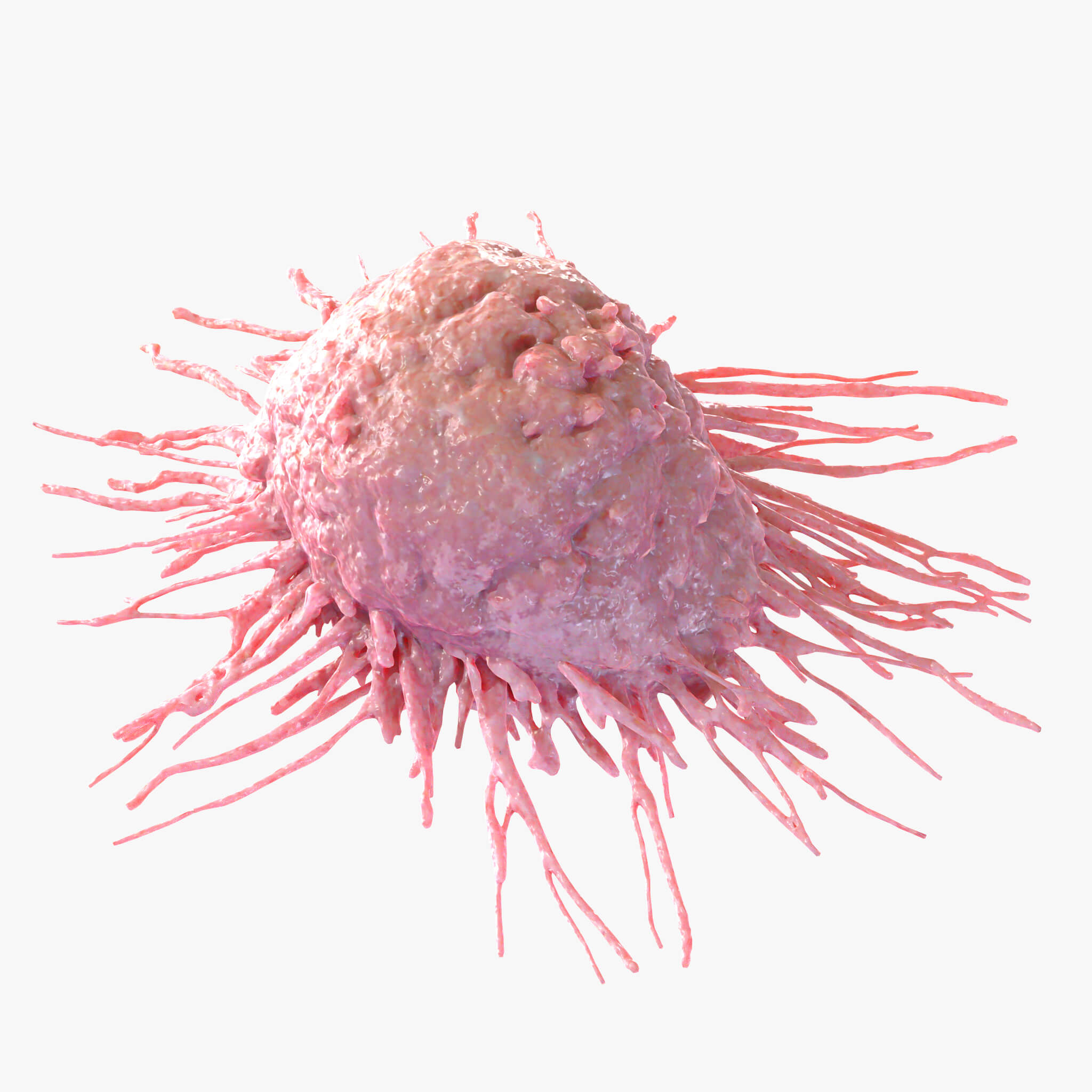 Cancer Cell Tumor - 3D Model by zames1992d