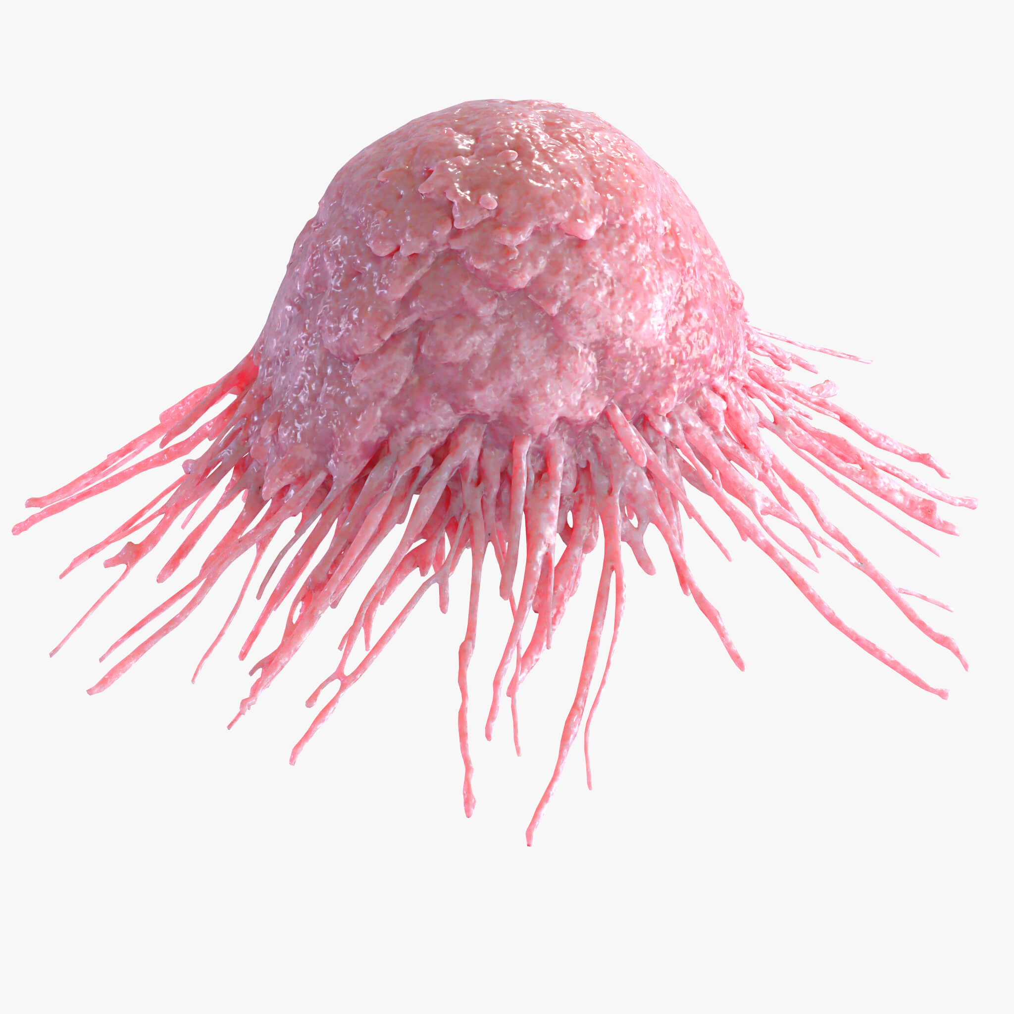 Cancer Cell Tumor - 3D Model by zames1992d