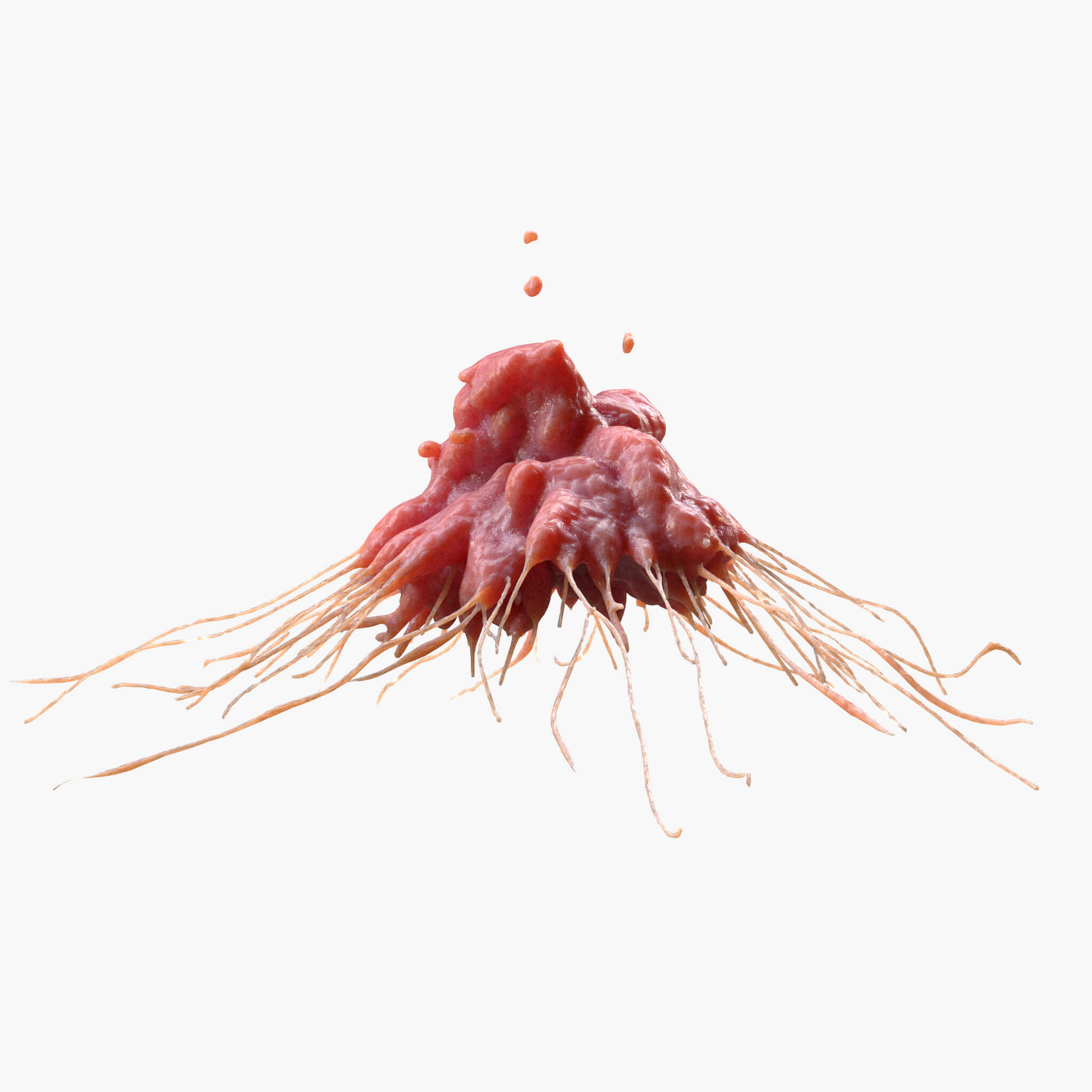 Cancer Cell Tumor - 3D Model by zames1992d