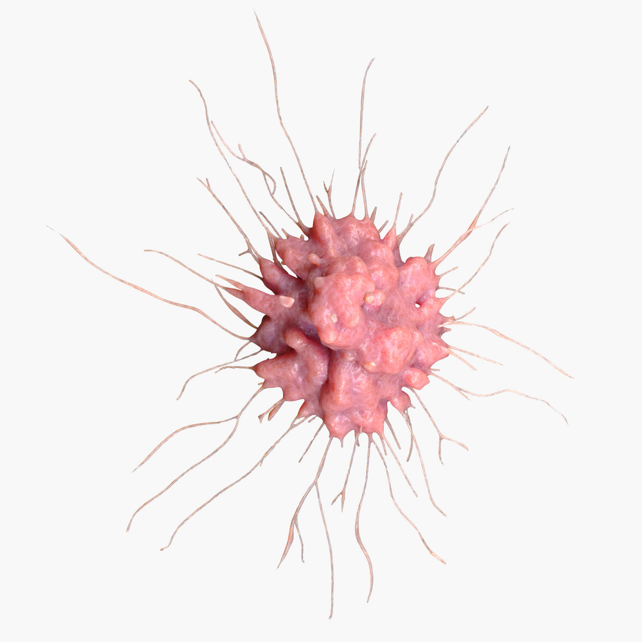 Cancer Cell Tumor - 3D Model by zames1992d