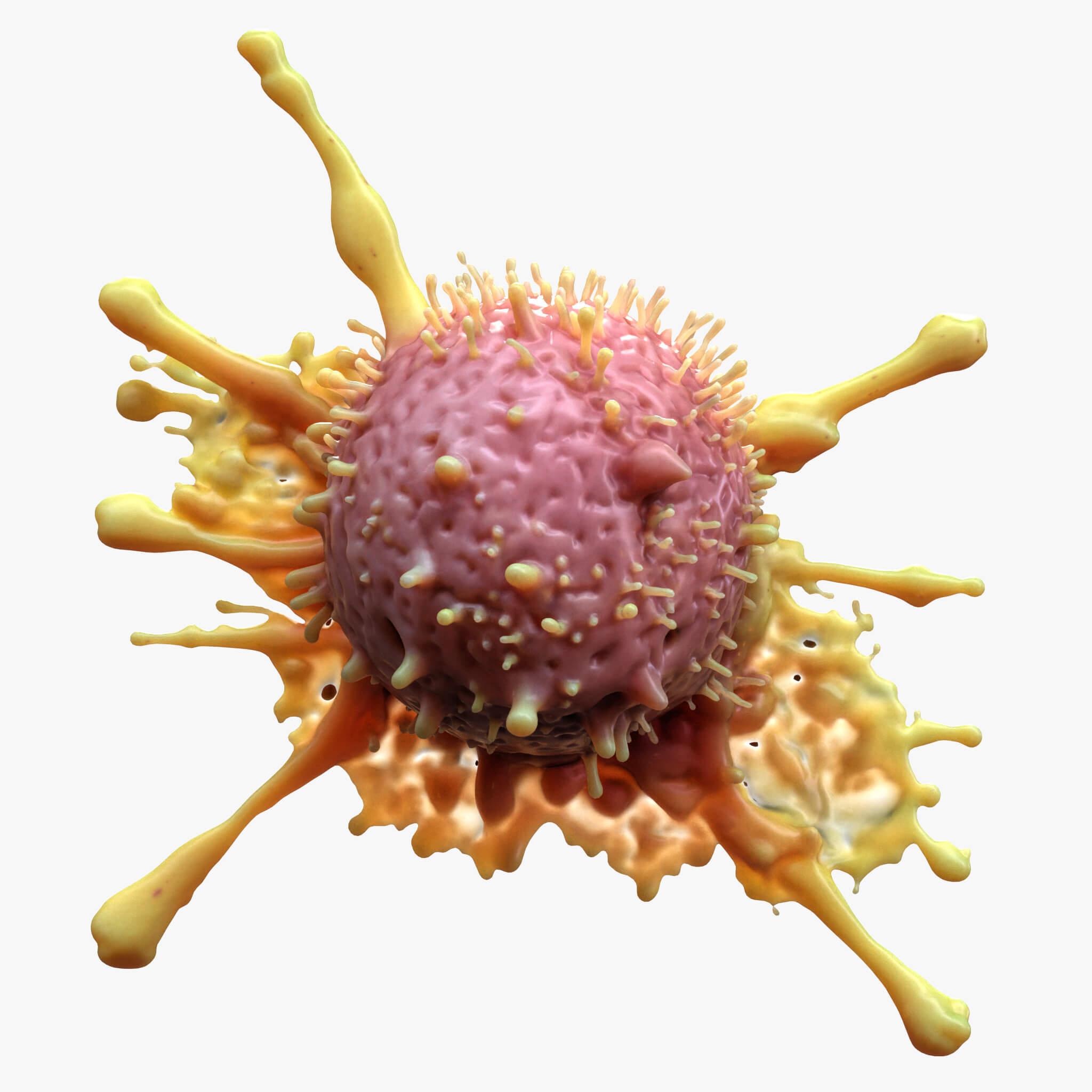 Cancer Cell Tumor - 3D Model by zames1992d