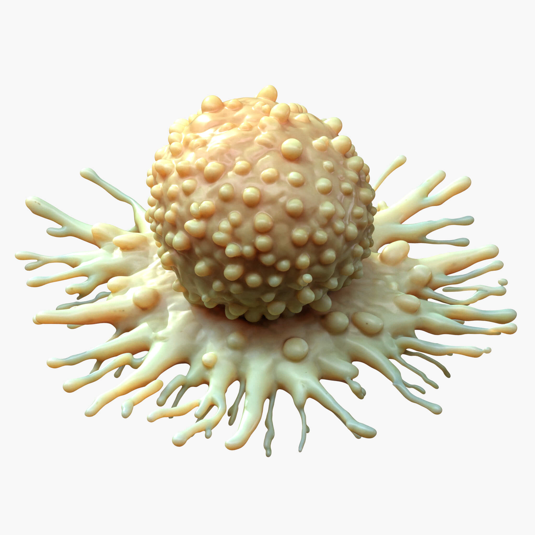 Cancer Cell Tumor - 3D Model by zames1992d
